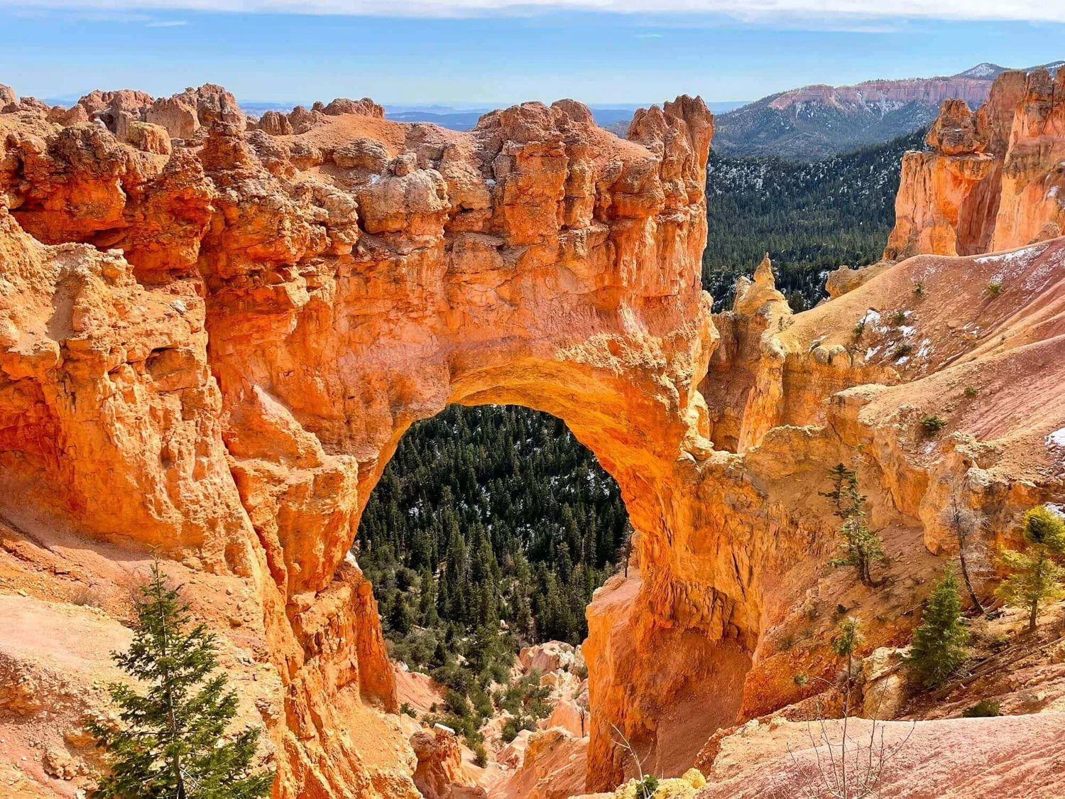 Bryce Canyon Scenic Drive: Best Overlooks, Hikes, and Things To Do in ...