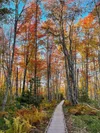 5 One-Day Acadia National Park Itineraries — Road Trip Locals