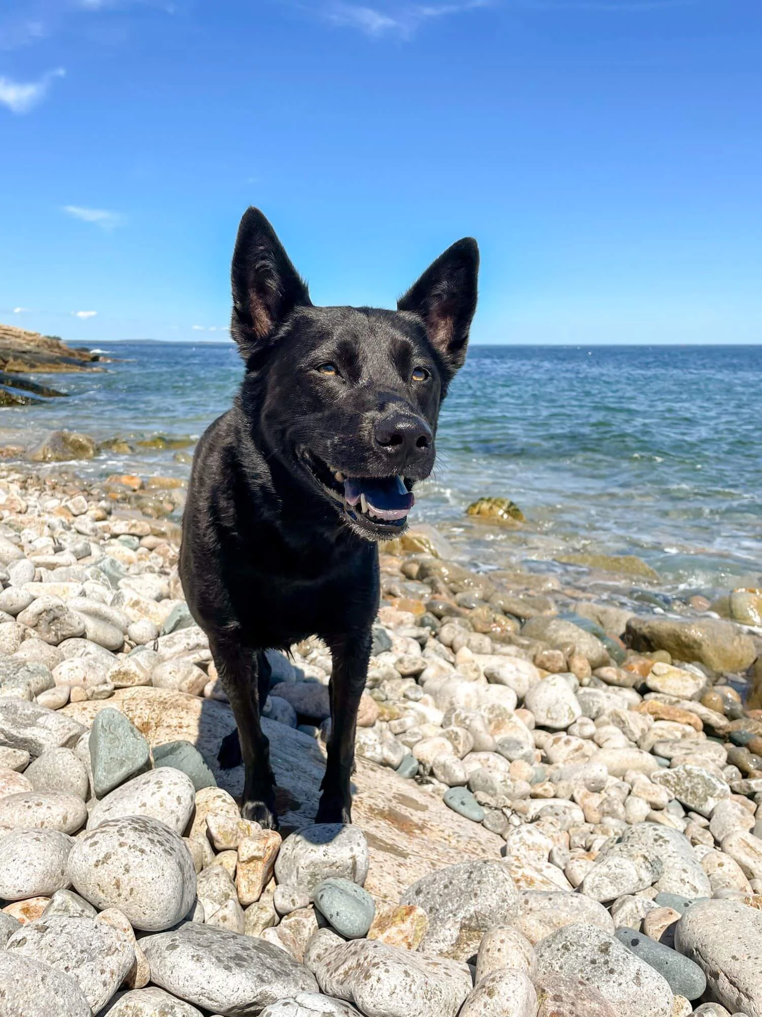 5 One-Day Acadia National Park Itineraries — Road Trip Locals