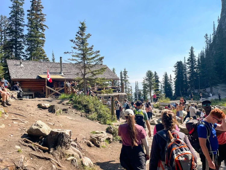 Big Beehive Hike: Stunning Panoramic Views of Lake Louise and the ...