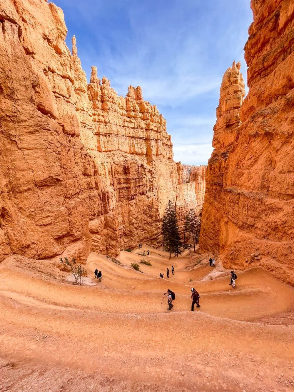 Bryce Canyon Scenic Drive: Best Overlooks, Hikes, and Things To Do in ...