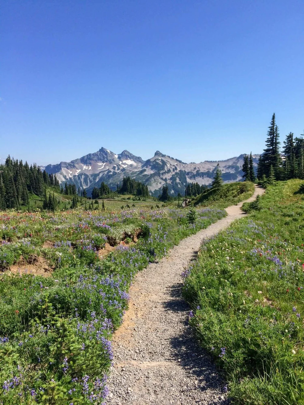 12-Day Pacific Northwest Road Trip — Road Trip Locals