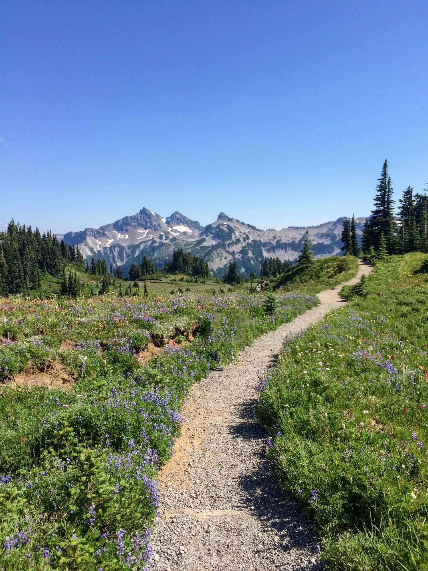 12-Day Pacific Northwest Road Trip — Road Trip Locals