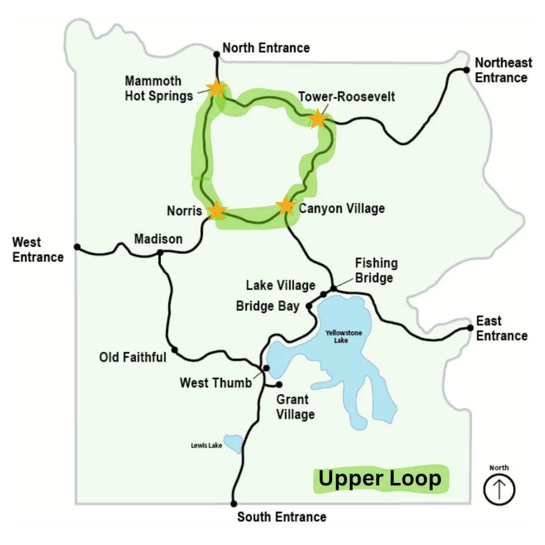 Yellowstone Upper Loop: 8 Best Stops for Views, Wildlife, and Hiking ...