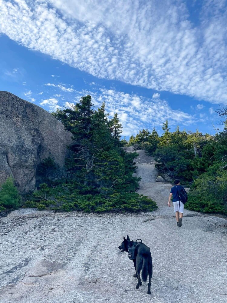 7 Fun Hikes in New Hampshire’s White Mountains — Road Trip Locals