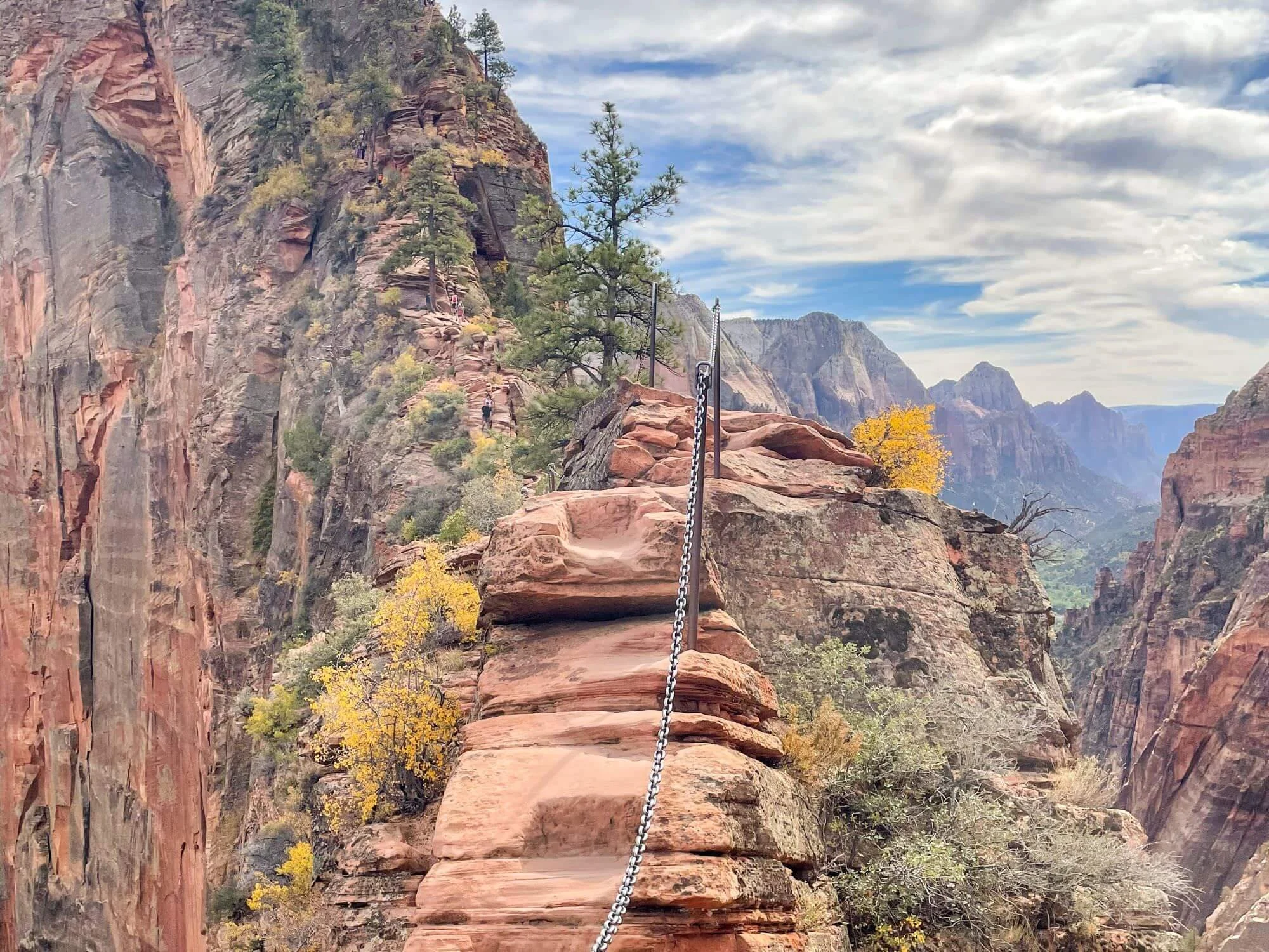 What it's like to hike Angel's Landing and The Narrows in Zion National ...