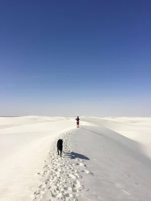 Driving ‘Dunes Drive’ in White Sands National Park (and 3 Must-Make ...