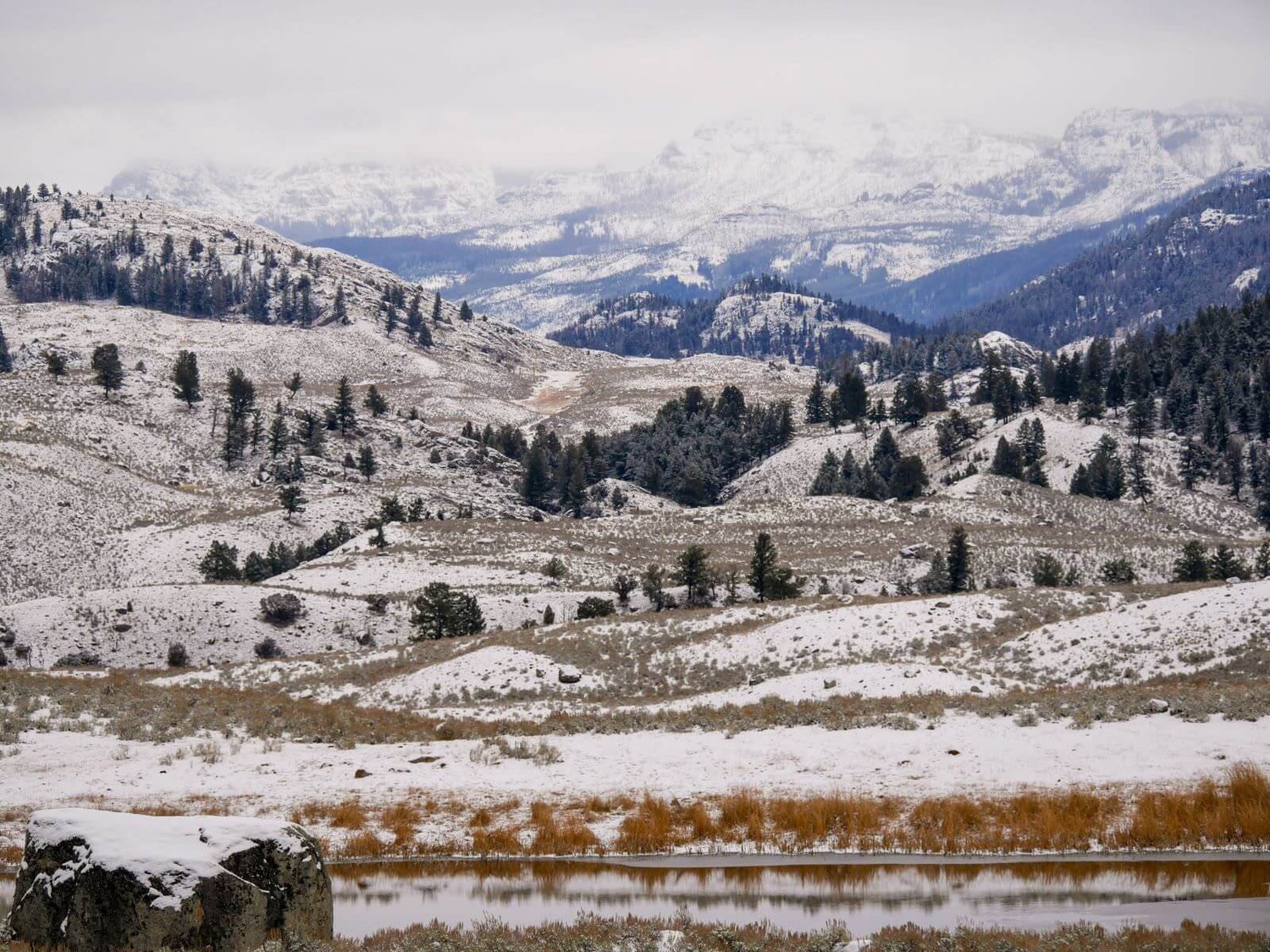 Yellowstone’s Five Seasons: Which One Is Right for You? — Road Trip Locals