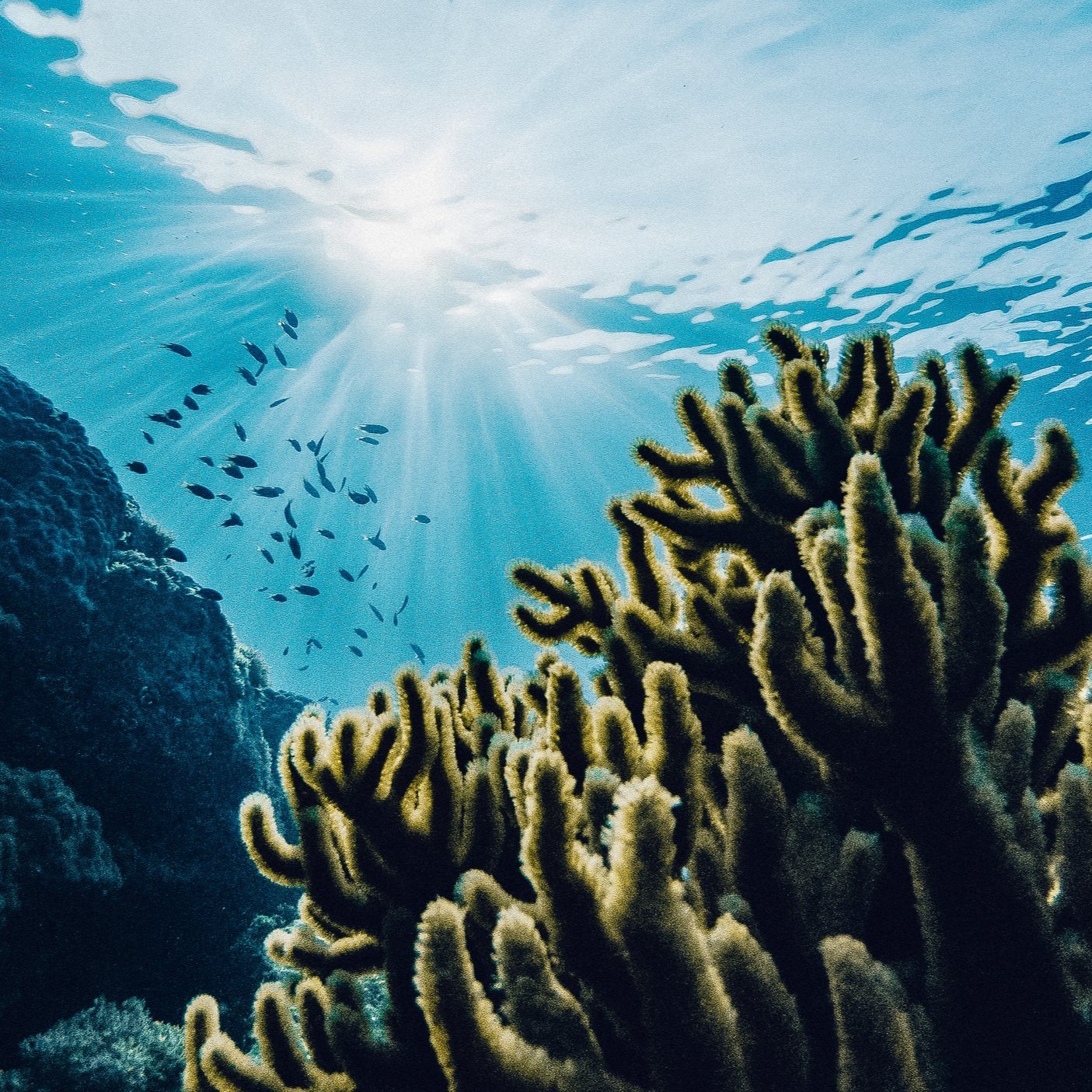 Belize — Naya Traveler | Curated Journeys