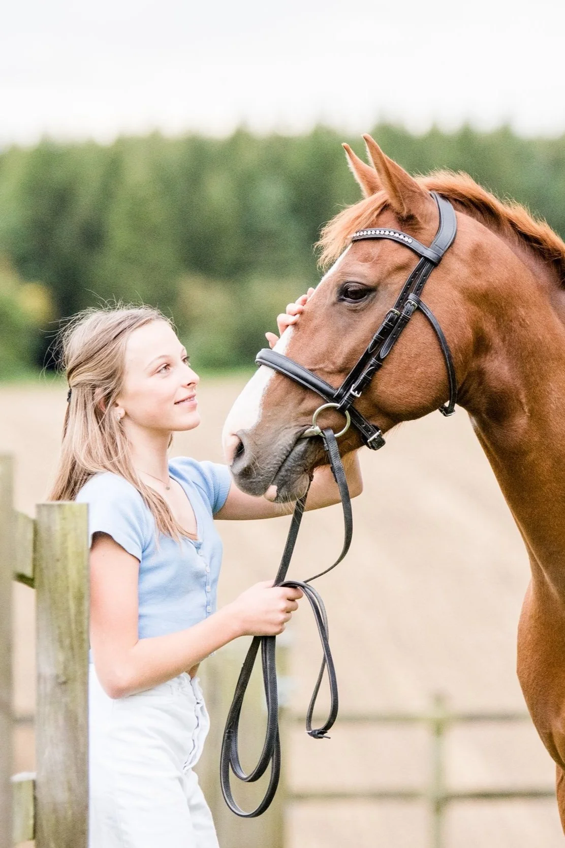 Making The Most Of Your Equine Photoshoot — Beth Hicks