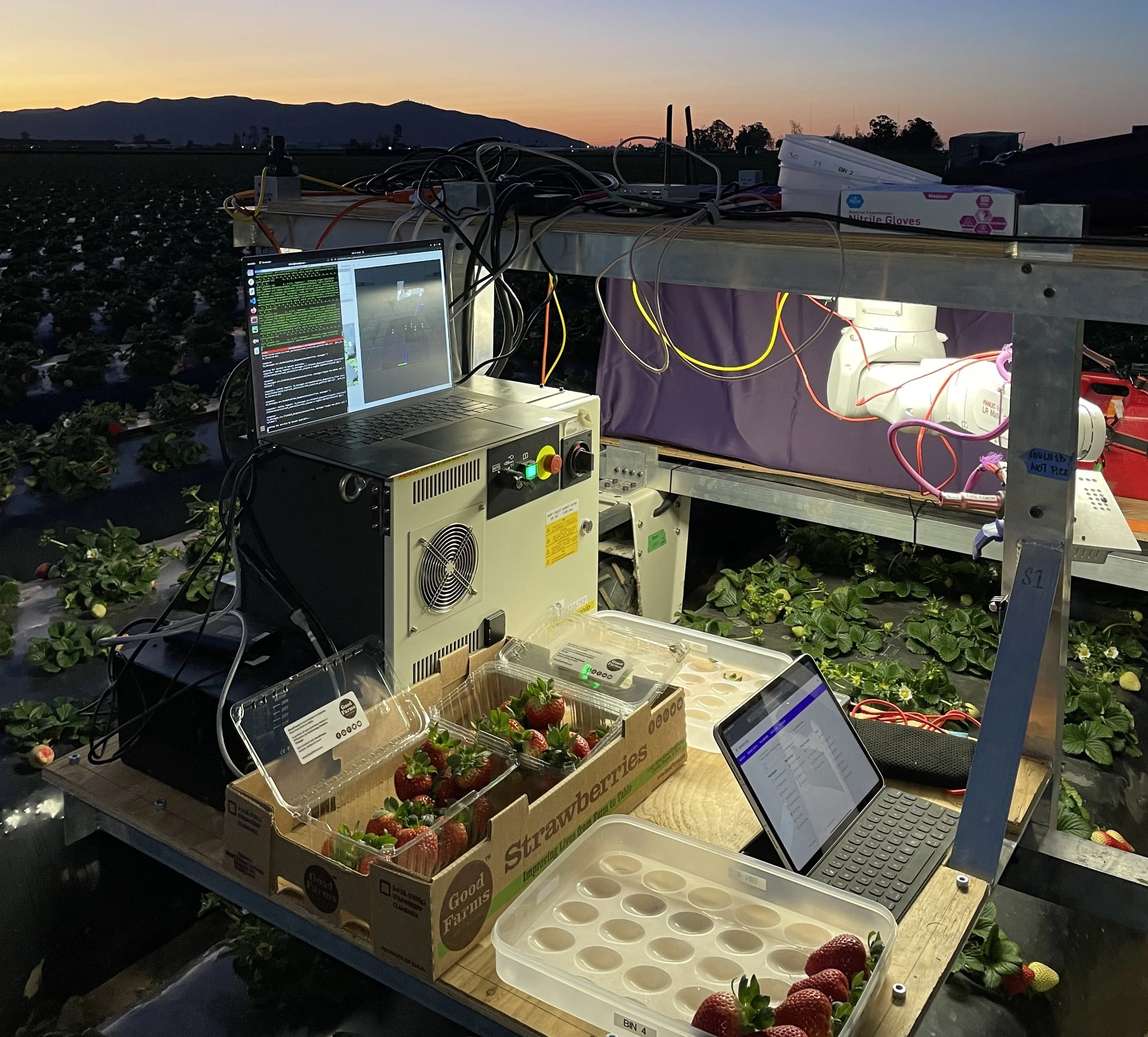 The Service — L5 Automation