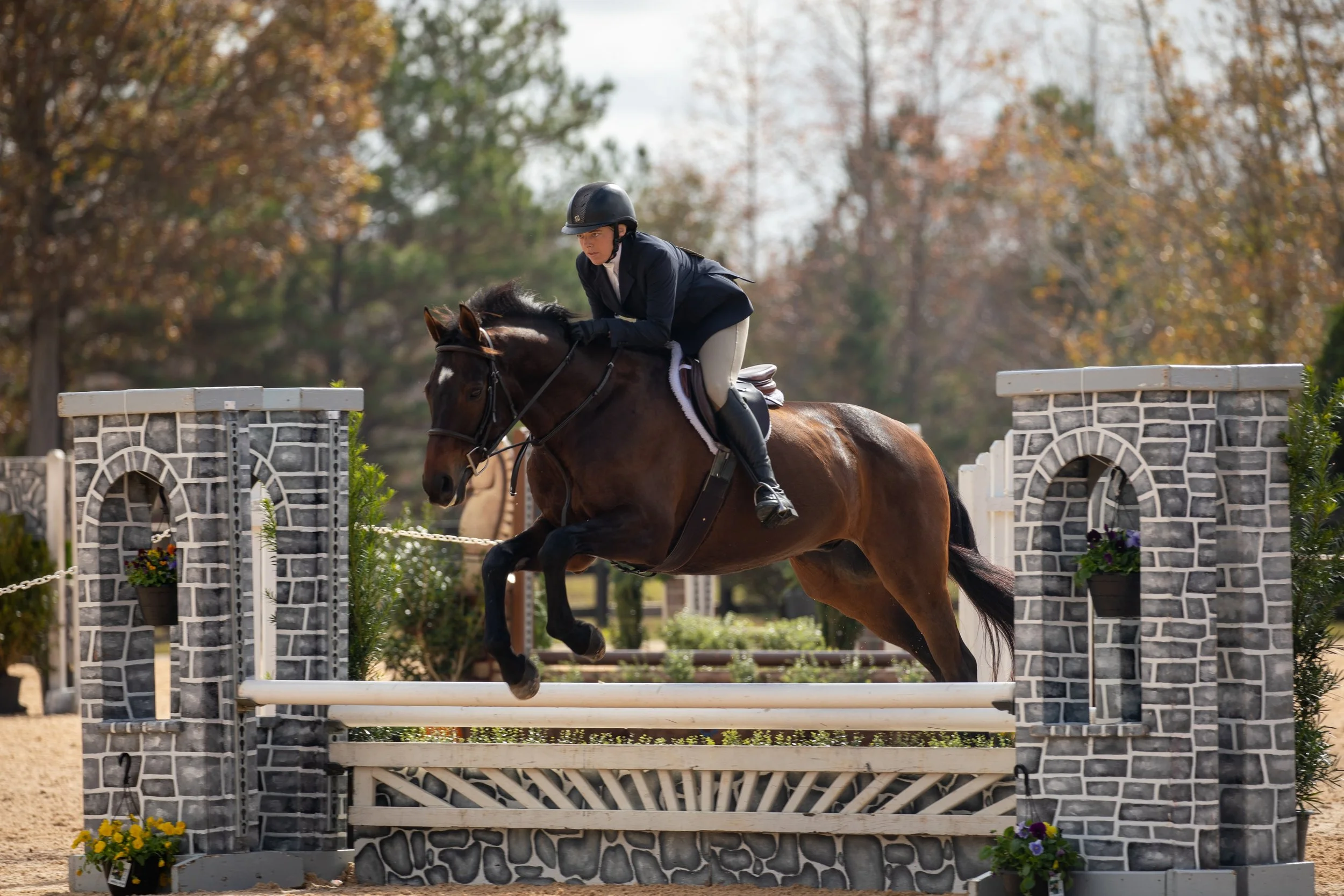 Individual Membership — Alabama Hunter Jumper Association