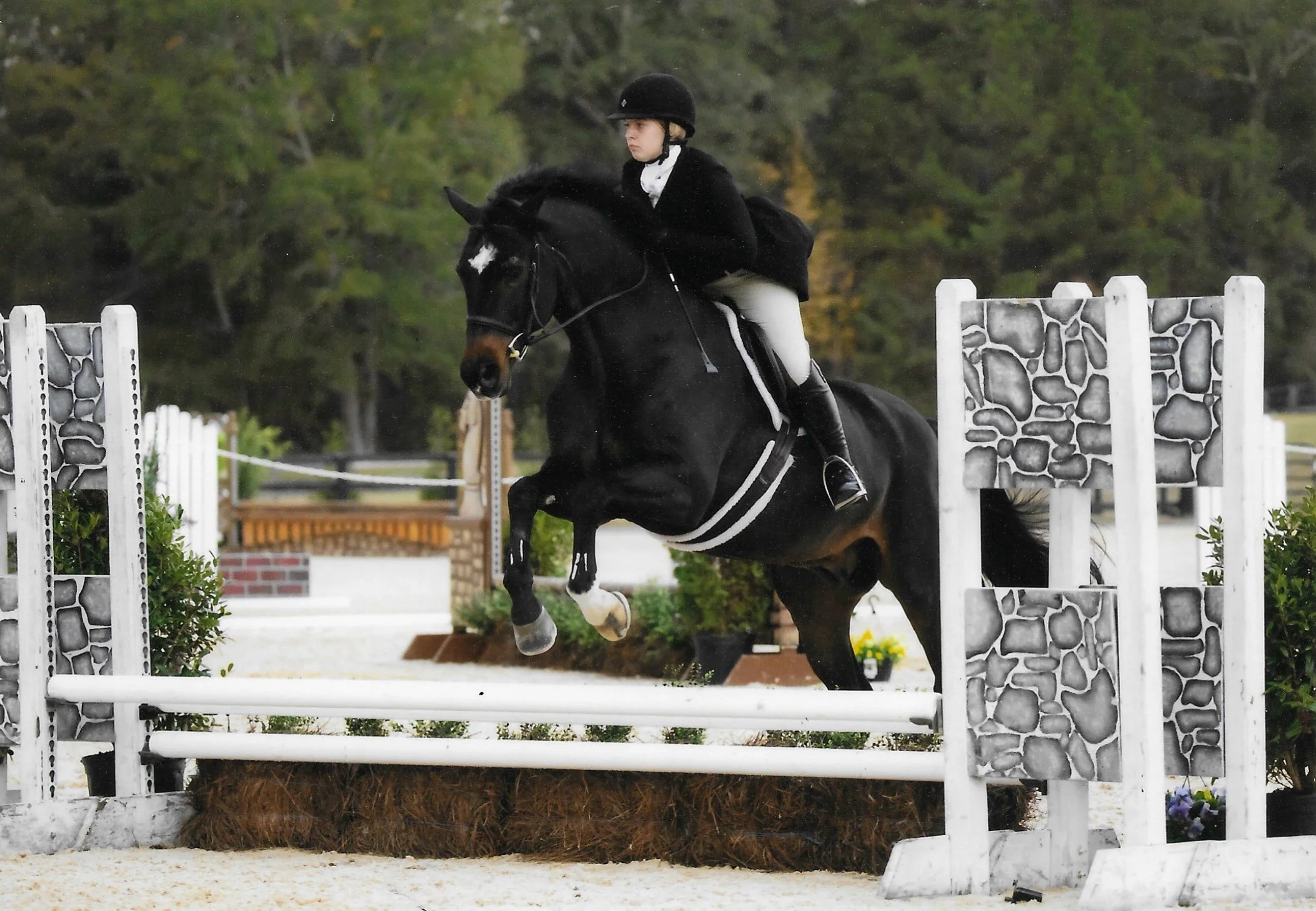 Barn Membership — Alabama Hunter Jumper Association
