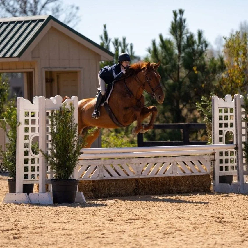 Barn Membership — Alabama Hunter Jumper Association