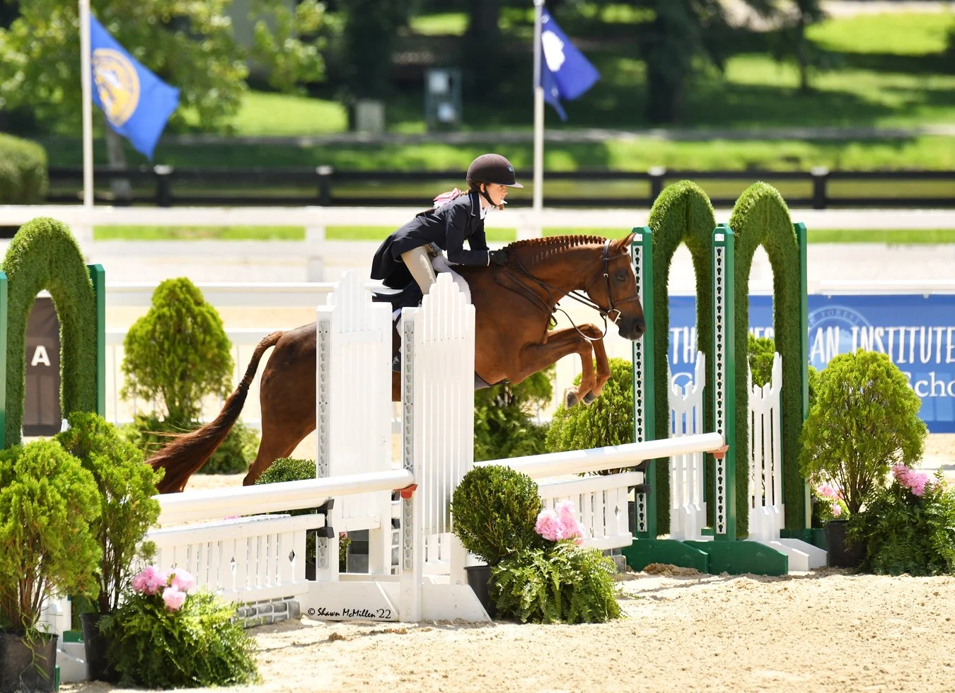 Rated Circuit — Alabama Hunter Jumper Association