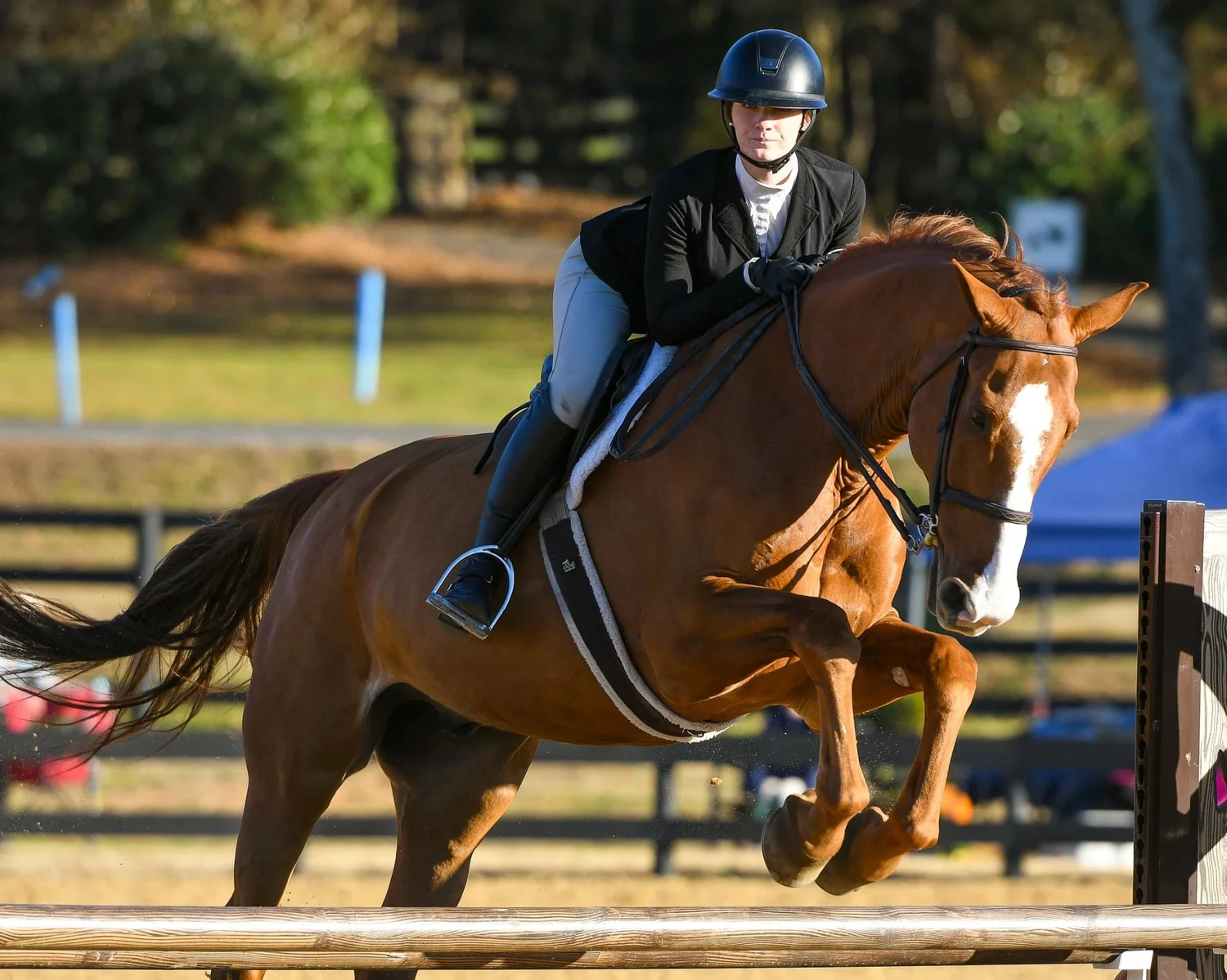 Alabama Hunter Jumper Association