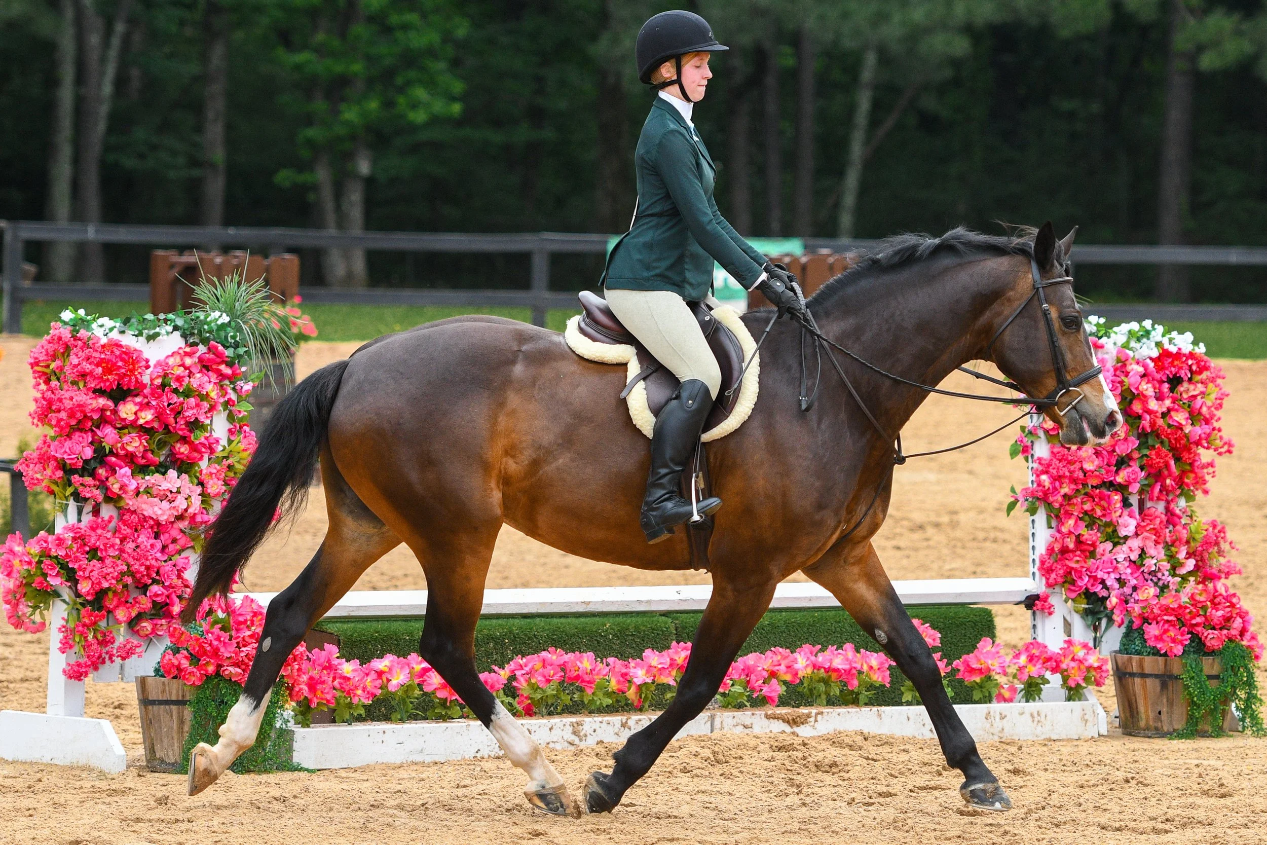 About — Alabama Hunter Jumper Association