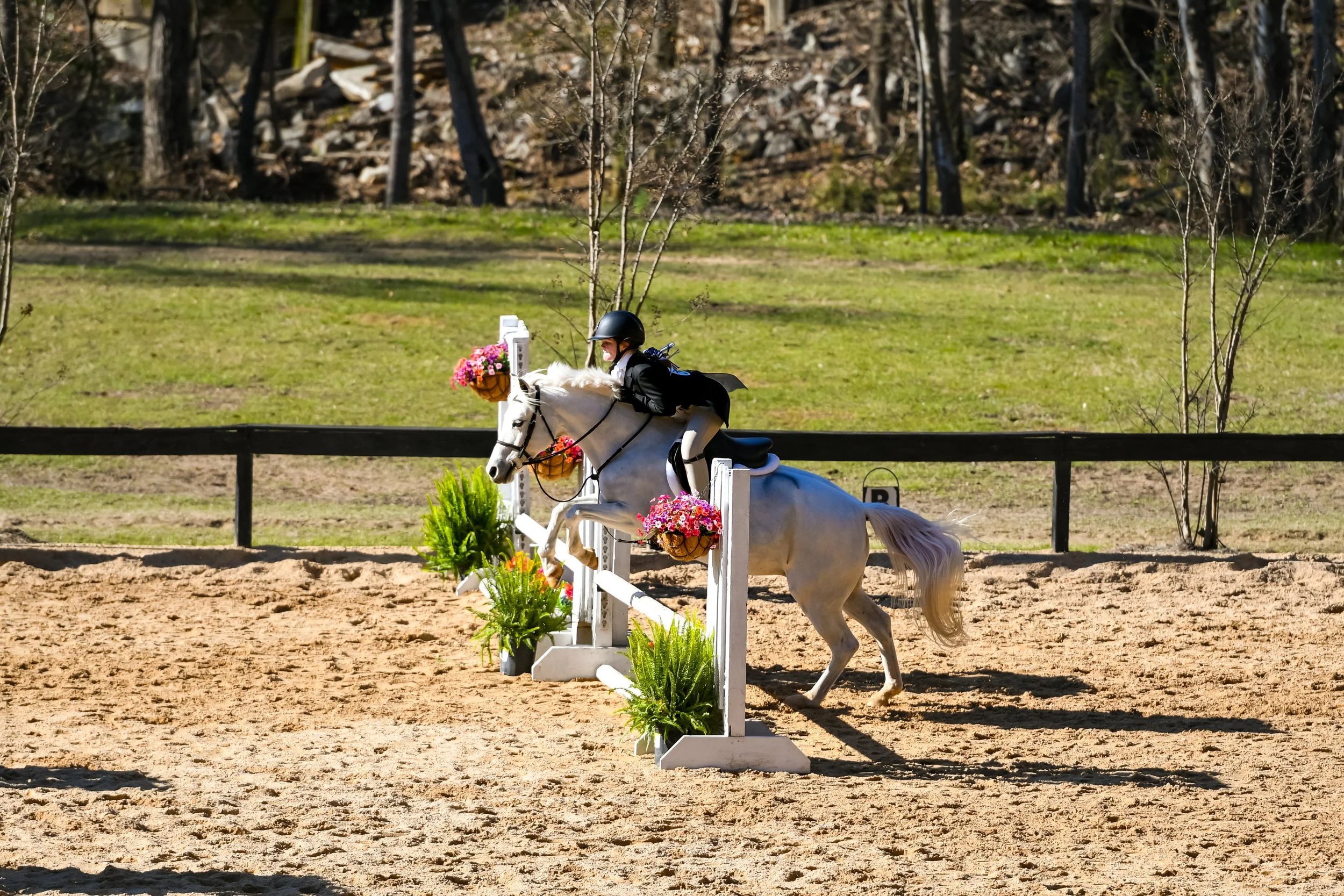 Alabama Hunter Jumper Association