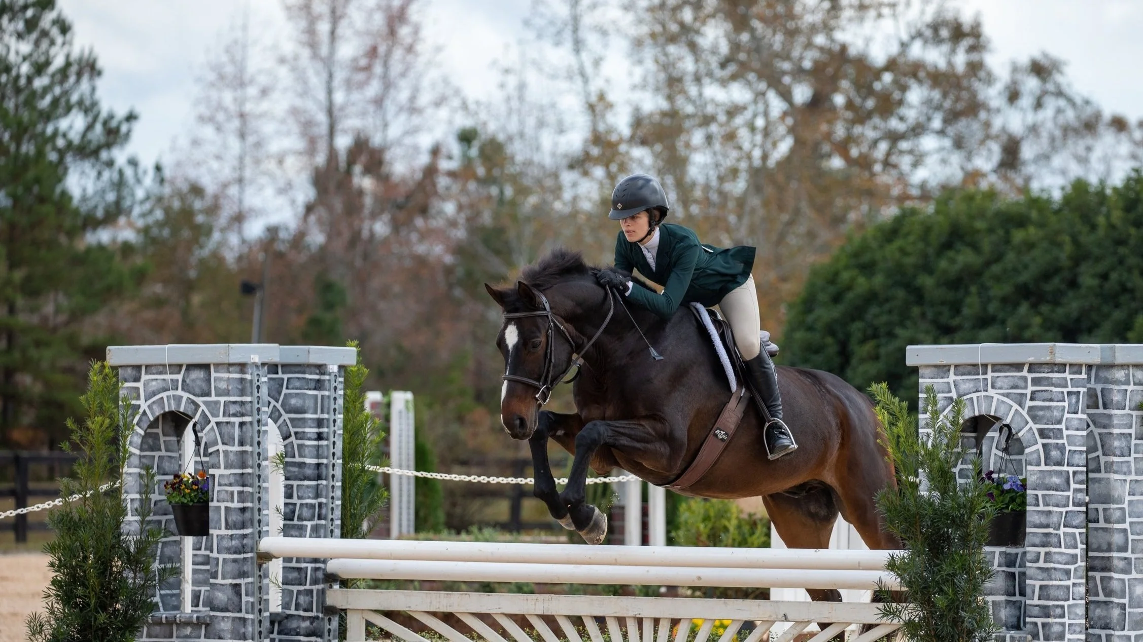 Hunter Jumper Photography