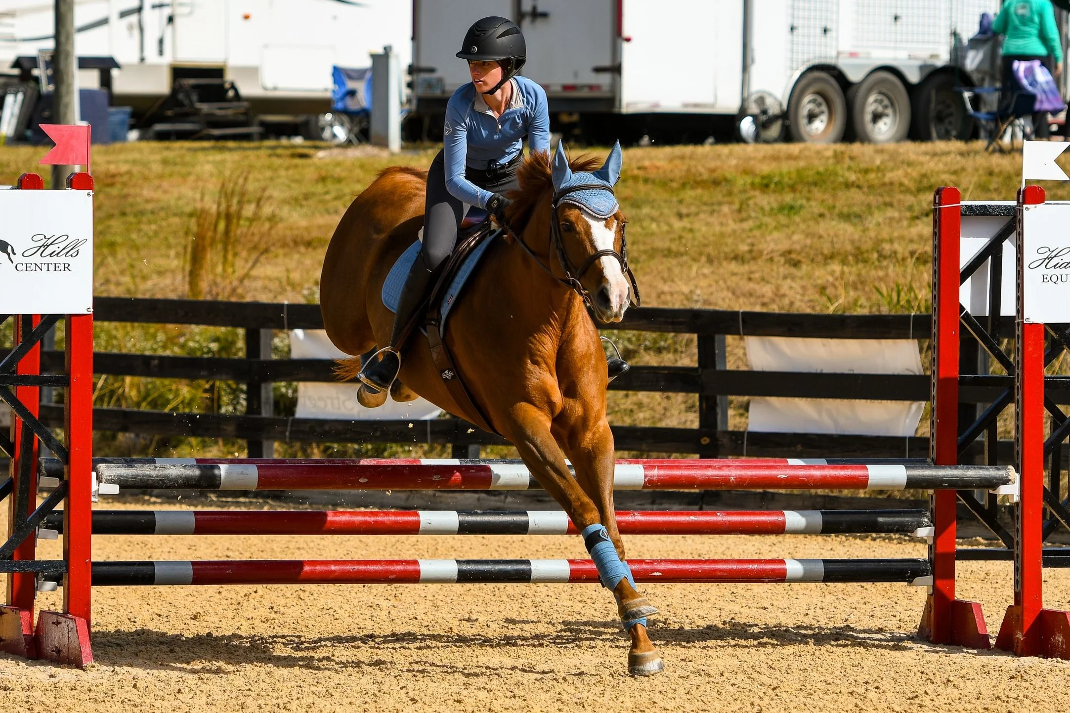 AHJA Announcements — Alabama Hunter Jumper Association