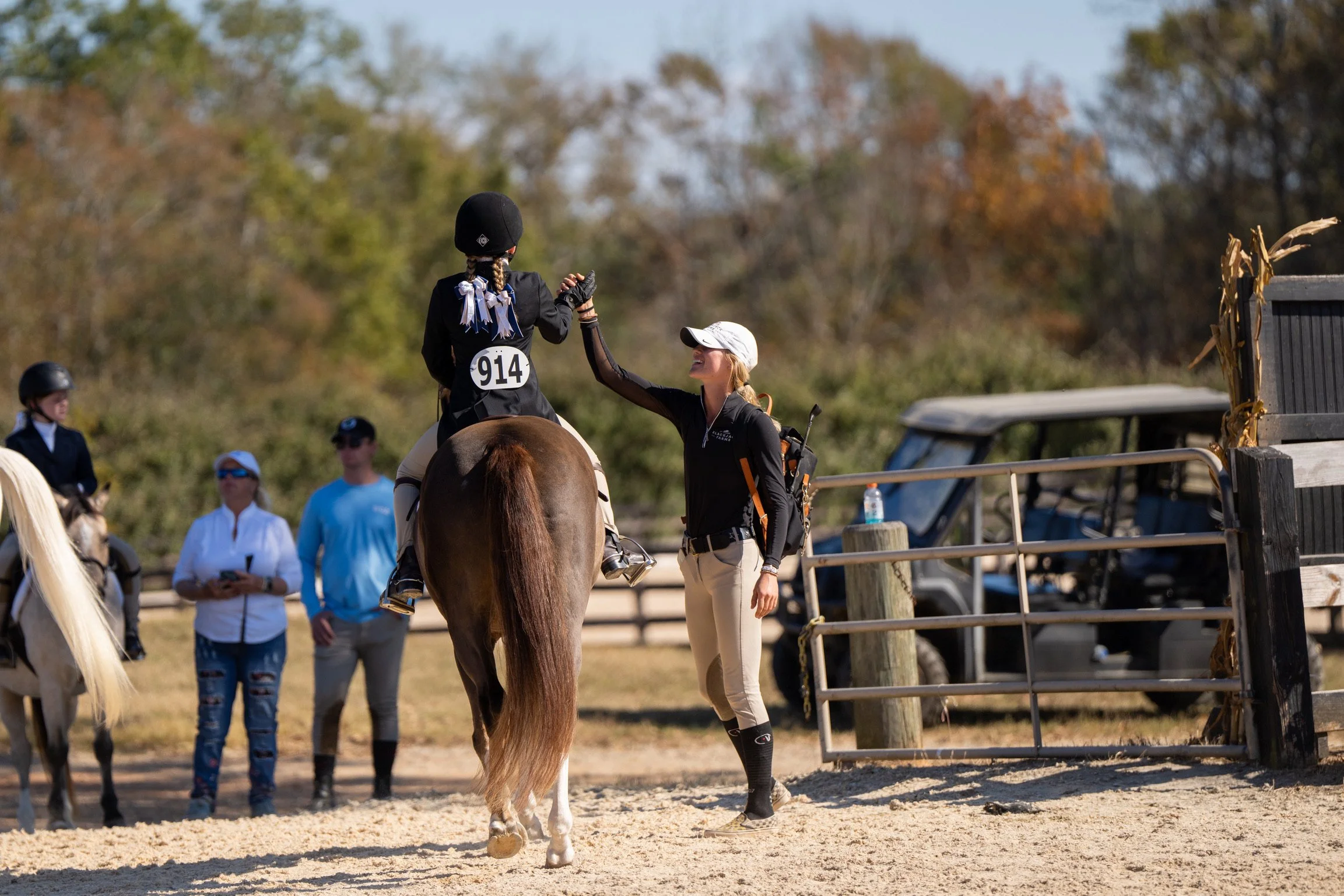 Show Schedules — Alabama Hunter Jumper Association