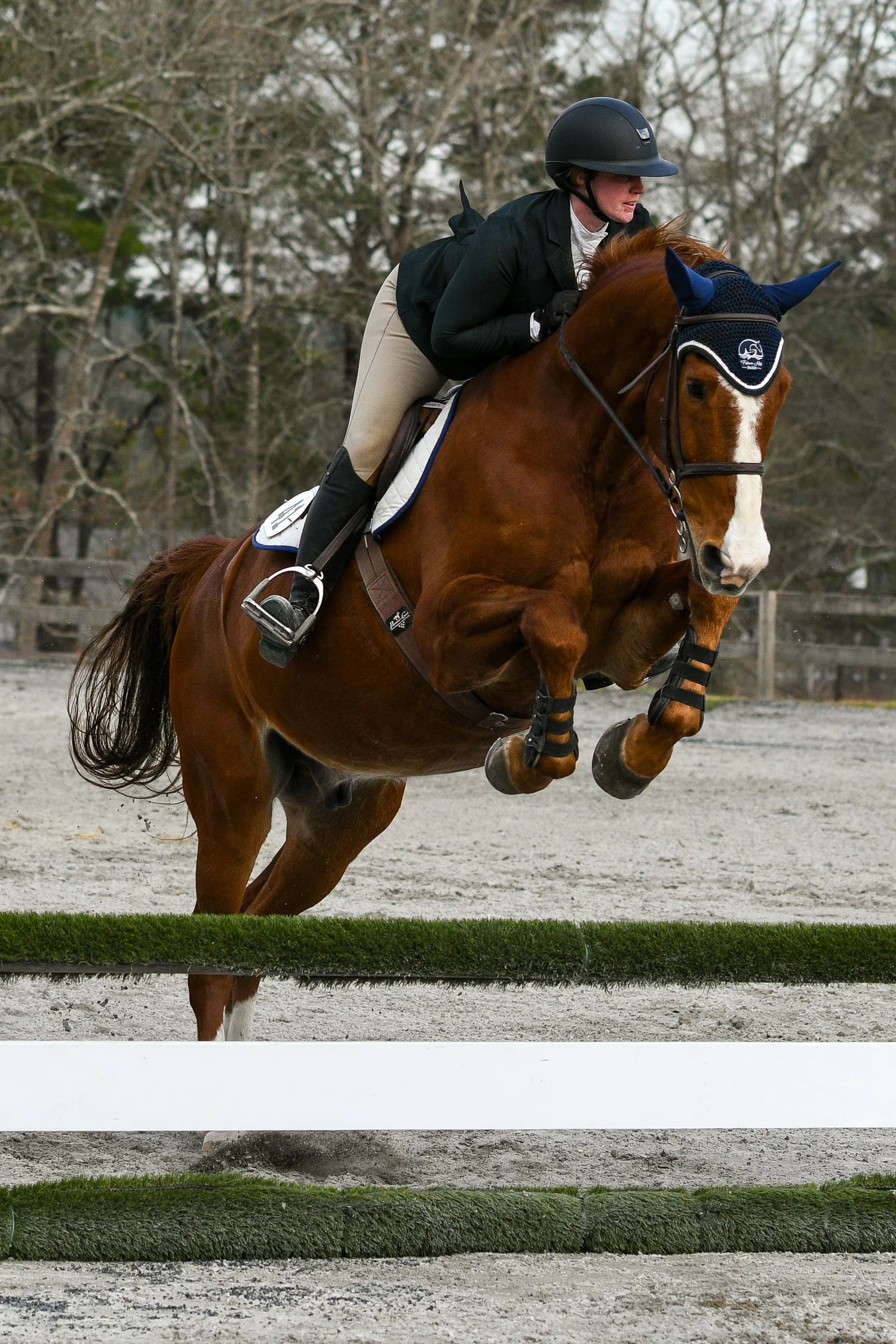 Show Schedules — Alabama Hunter Jumper Association