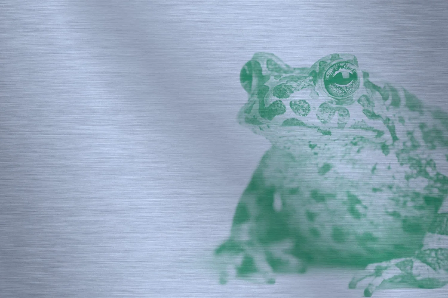 CMMI and CMMC Certification Training Provider | SteelToad