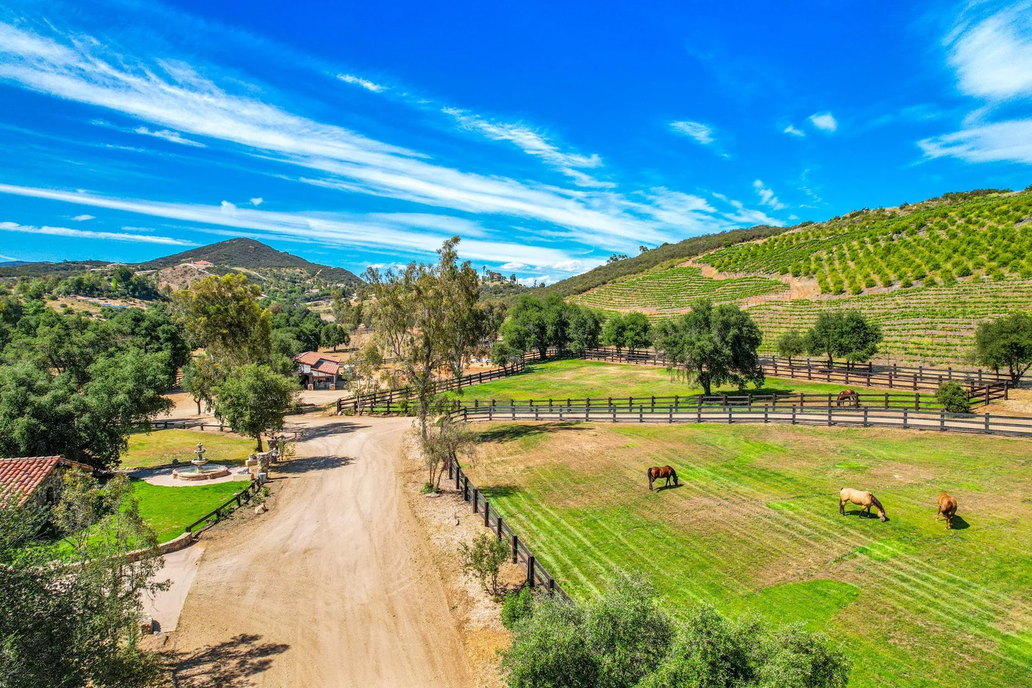 Horses For Sale - Your One-Stop Shop for Quality Trail, Ranch ...