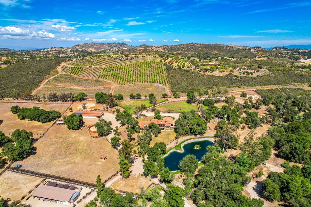 Horses For Sale - Your One-Stop Shop for Quality Trail, Ranch ...