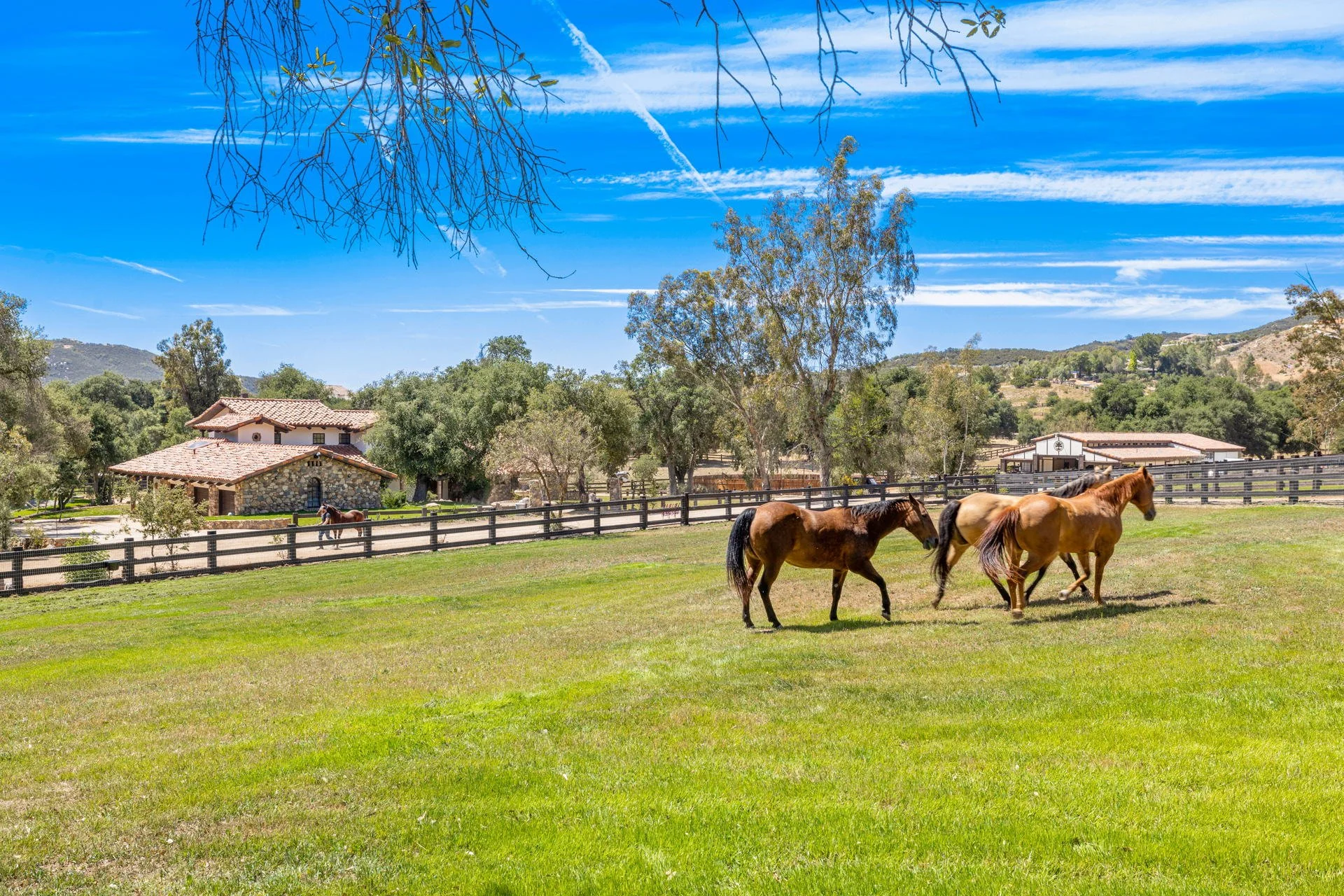 Videos — Lazy Oaks Ranch