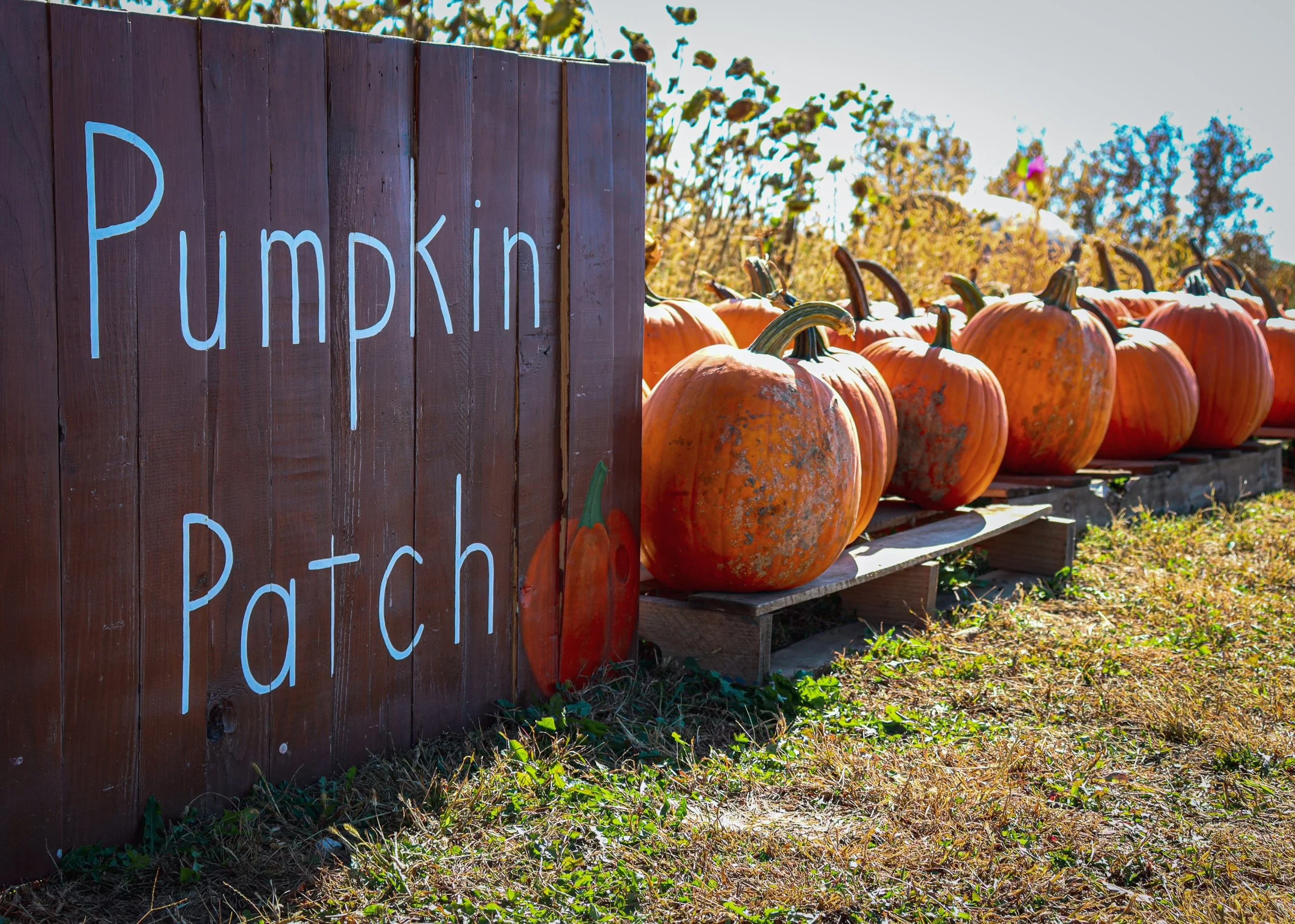 Waiver — Jackson Family Farm