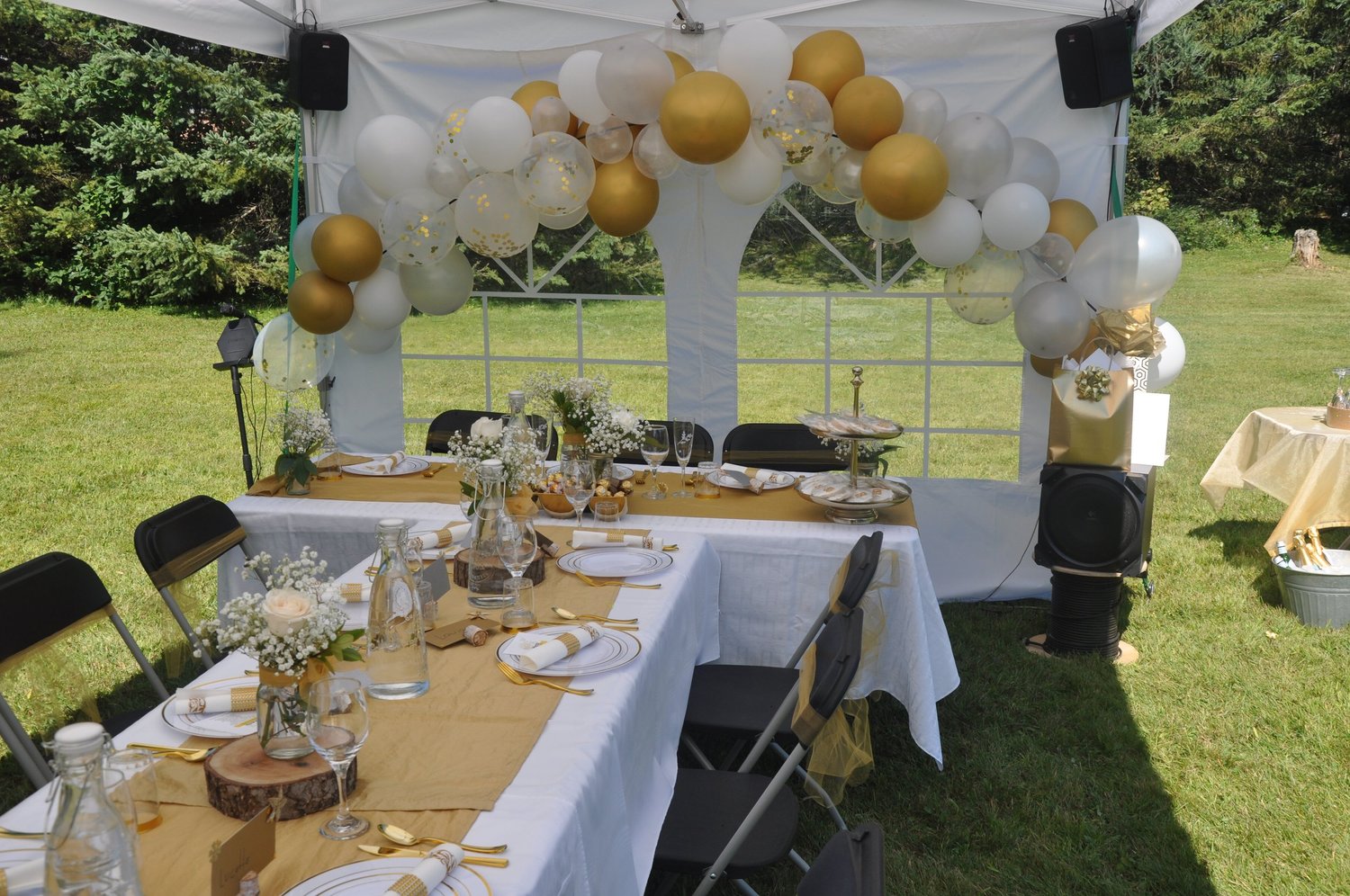 Location Party Gatineau (819) 485-0735