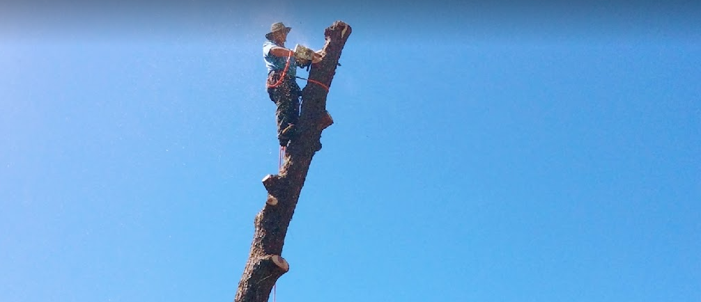 Knight's Tree Service LLC