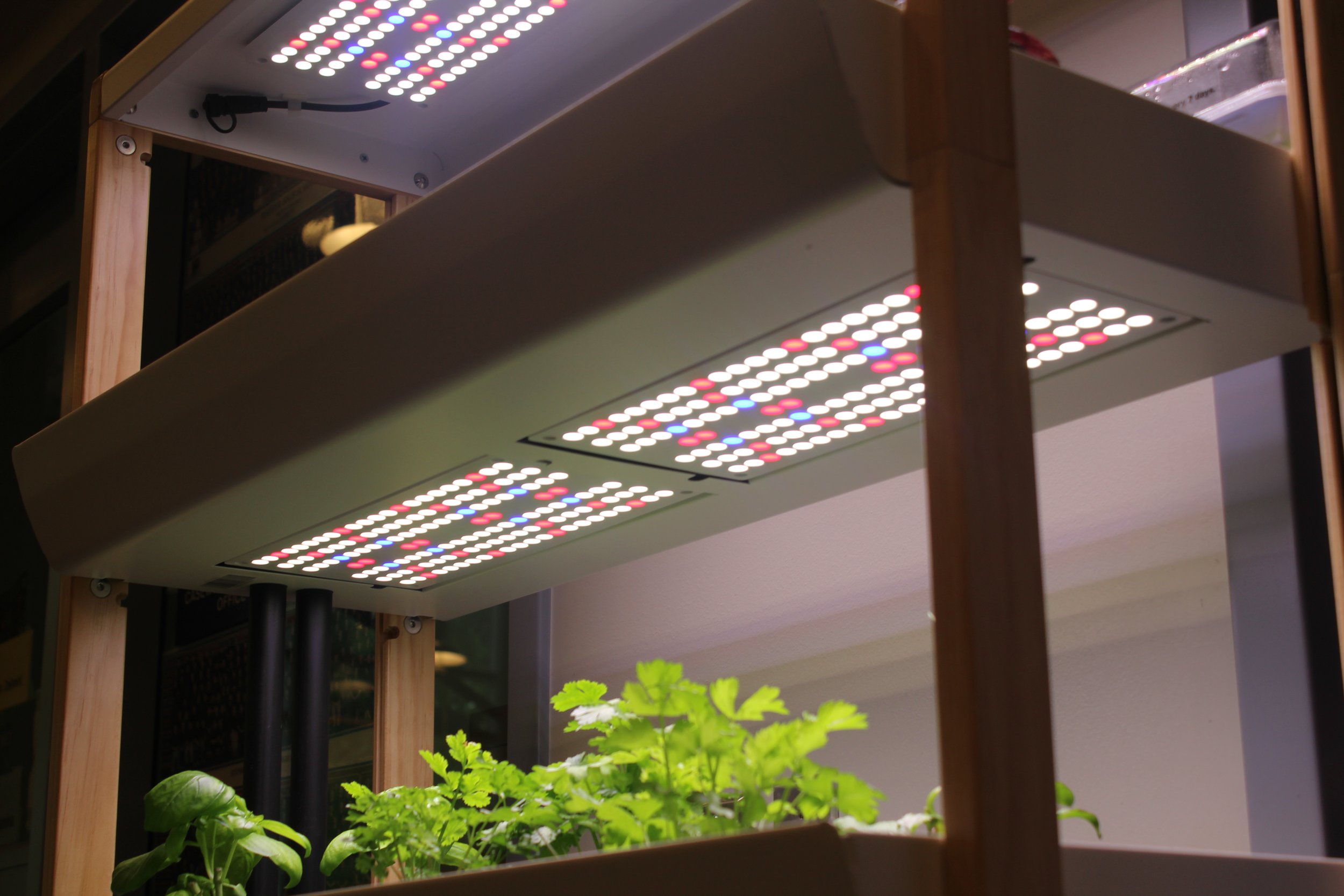 Mather High School — The Hydroponic Venture Project