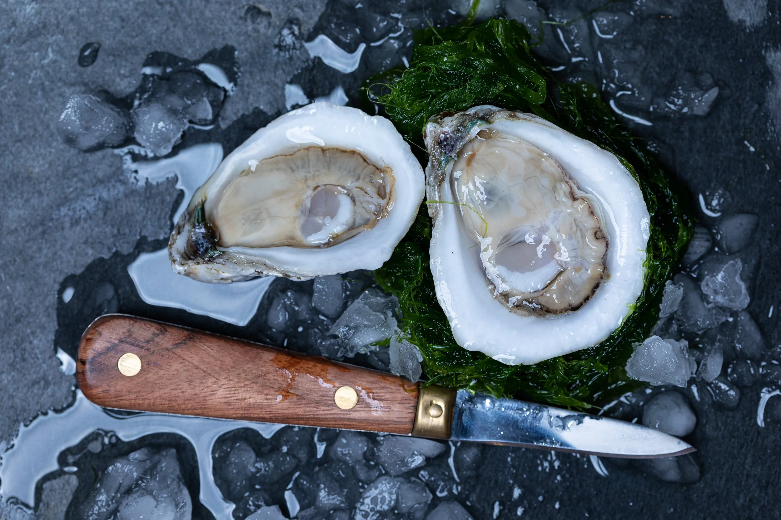Hold Fast Oyster Co. | Premium NC Oysters – Seabirdies & Southern Salts ...