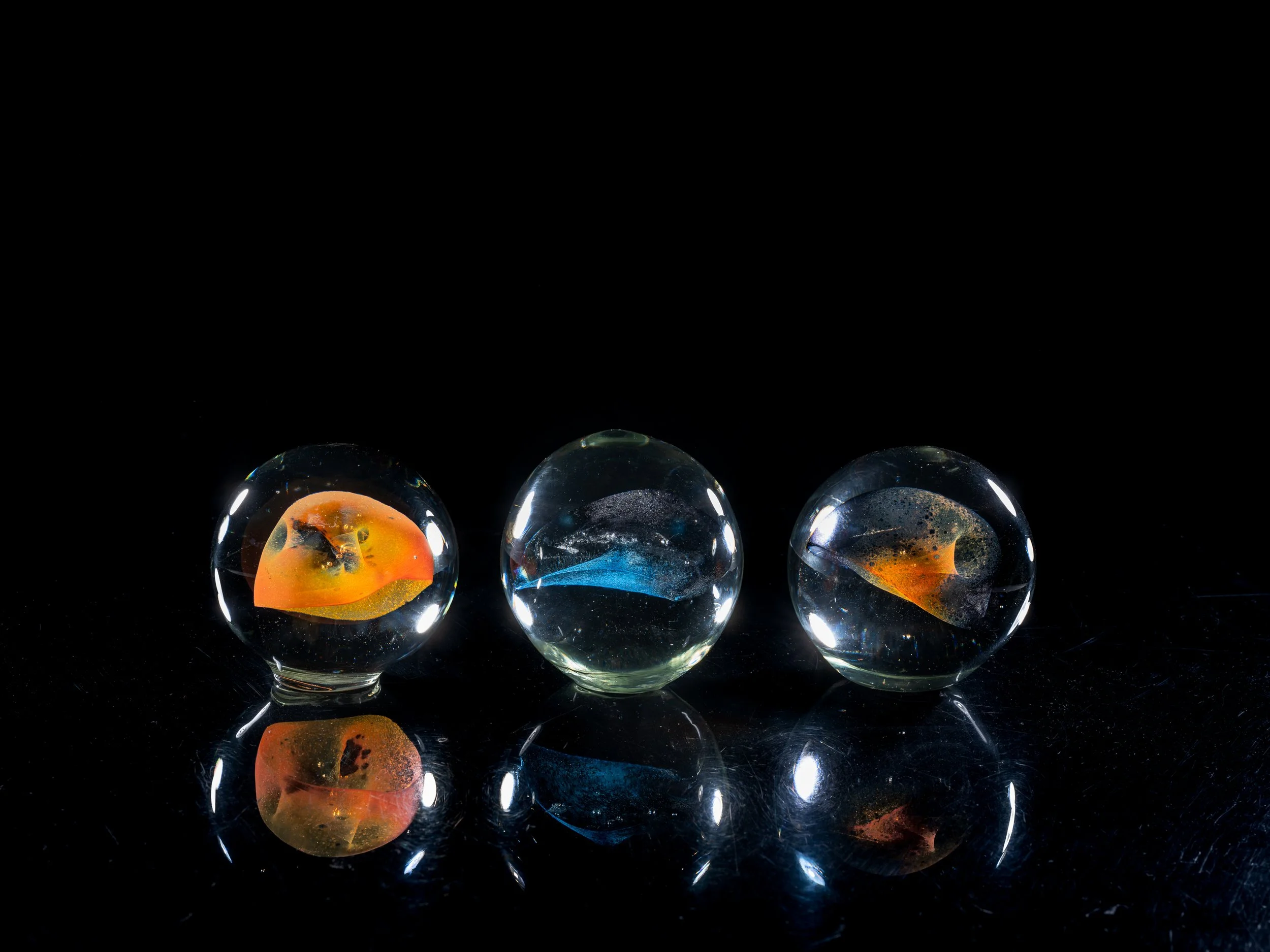 Bio/Showroom — Moonlight Glass