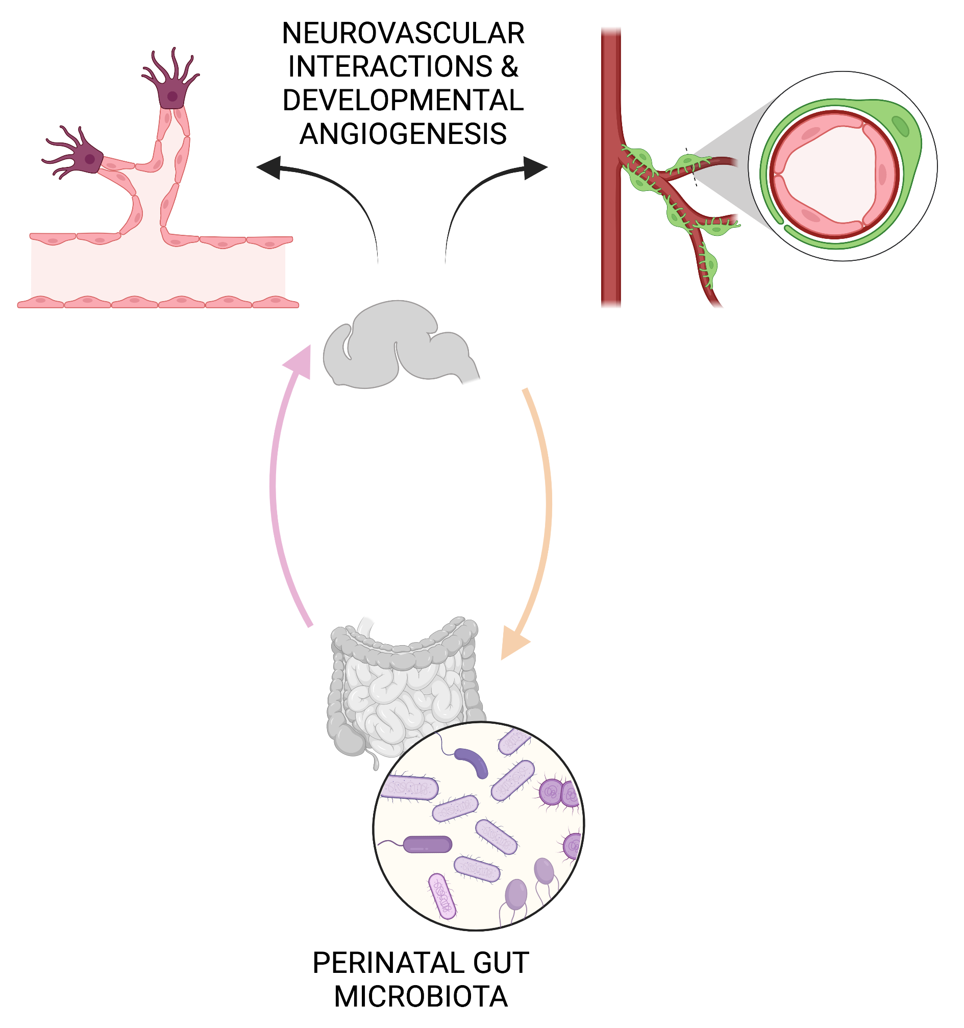 Our Research — Aburto Lab