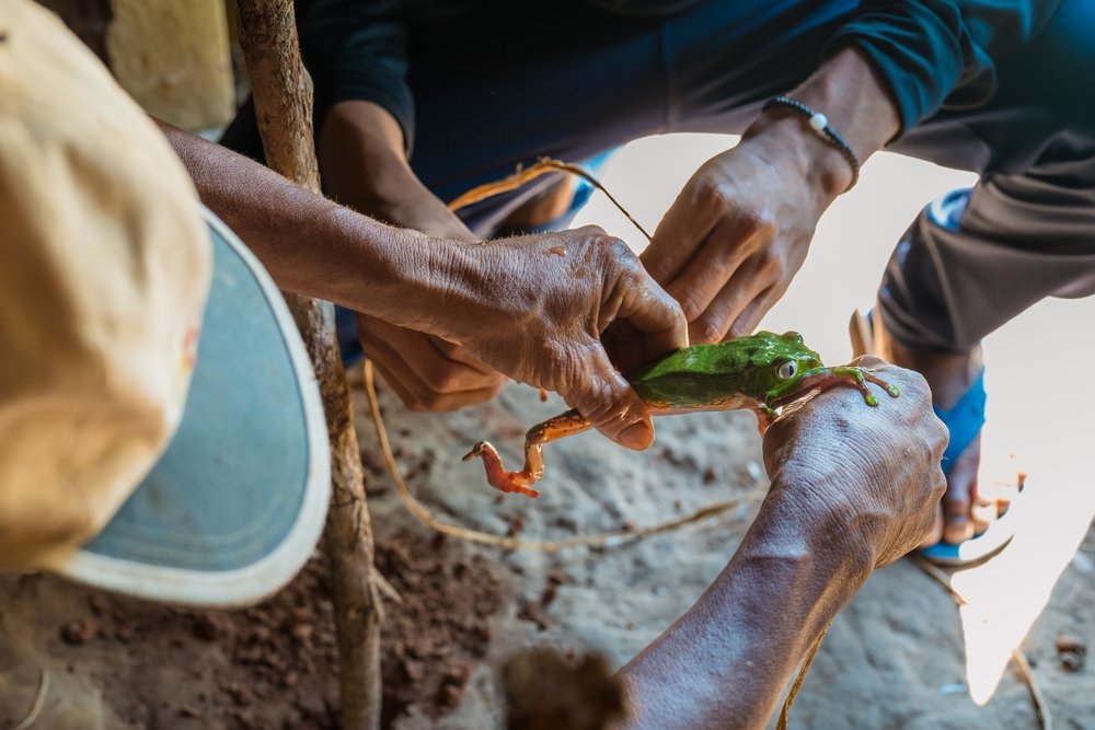 What is a Kambo Practitioner? | Cami Kambo