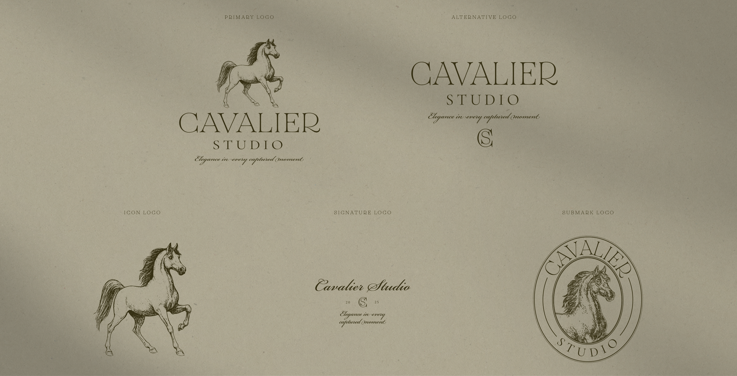 Cavalier Studio | Elevate Your Brand Today — DAYENAH STUDIO