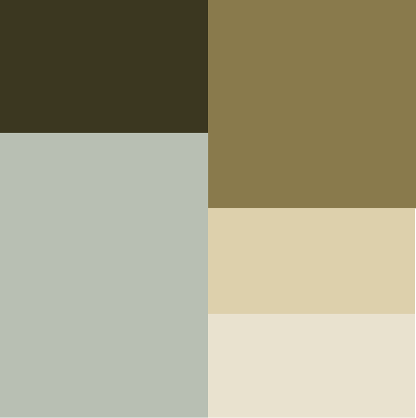 Playa Julia | Discover Your Tropical Brand — DAYENAH STUDIO