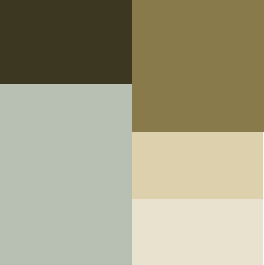 Playa Julia | Discover Your Tropical Brand — DAYENAH STUDIO