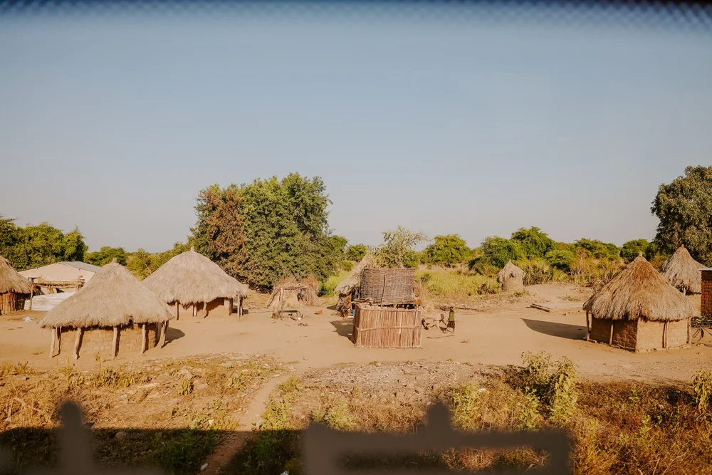 Mission Trips — Freedom House International