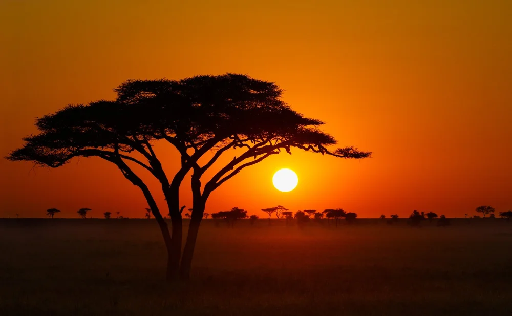 Golden Valley Project — Pambili