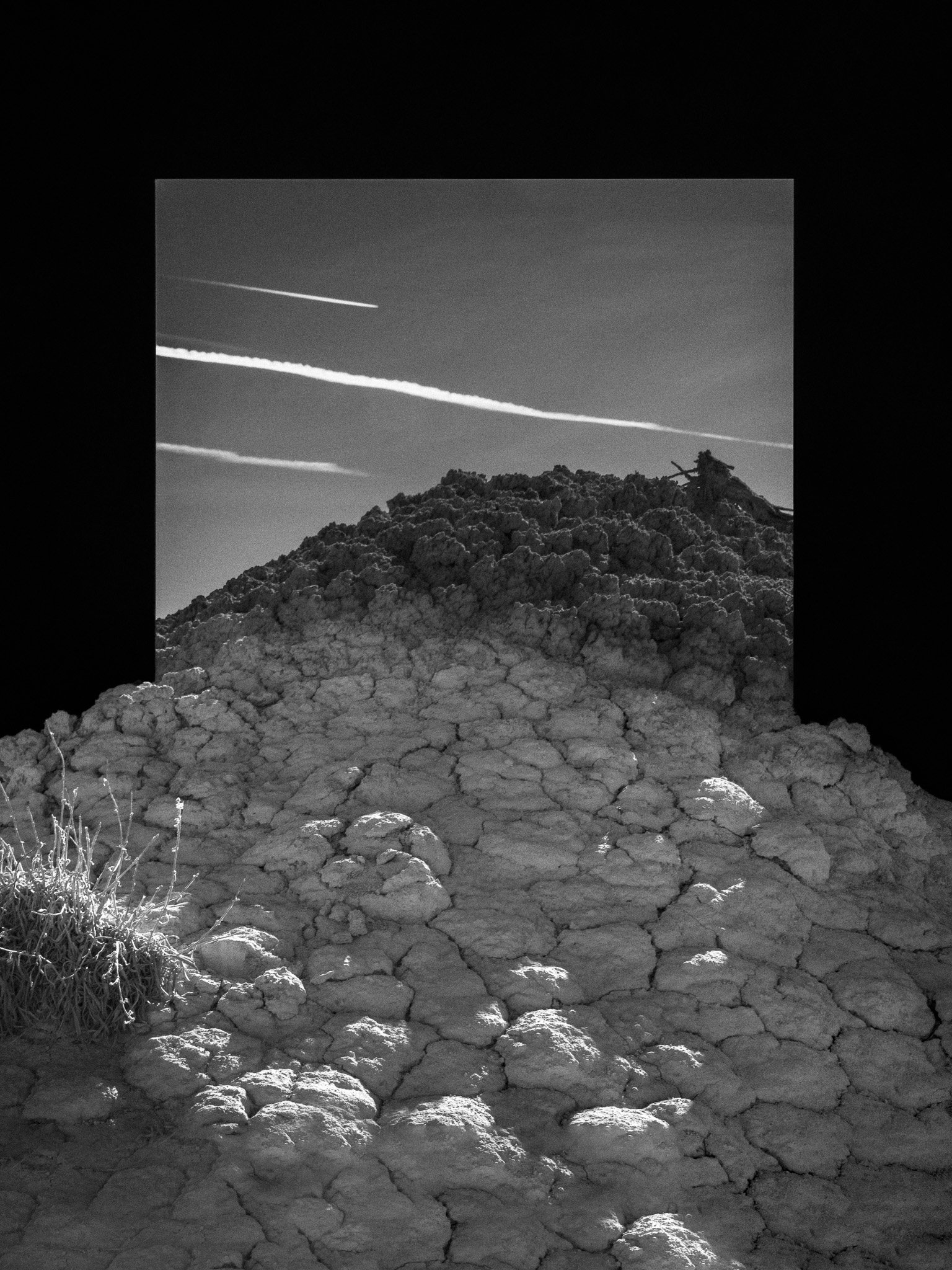 Participatory Universe — Alexandra Fuller