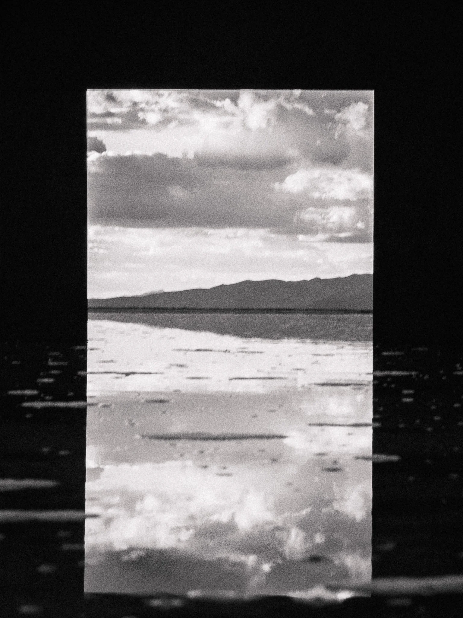 Participatory Universe — Alexandra Fuller