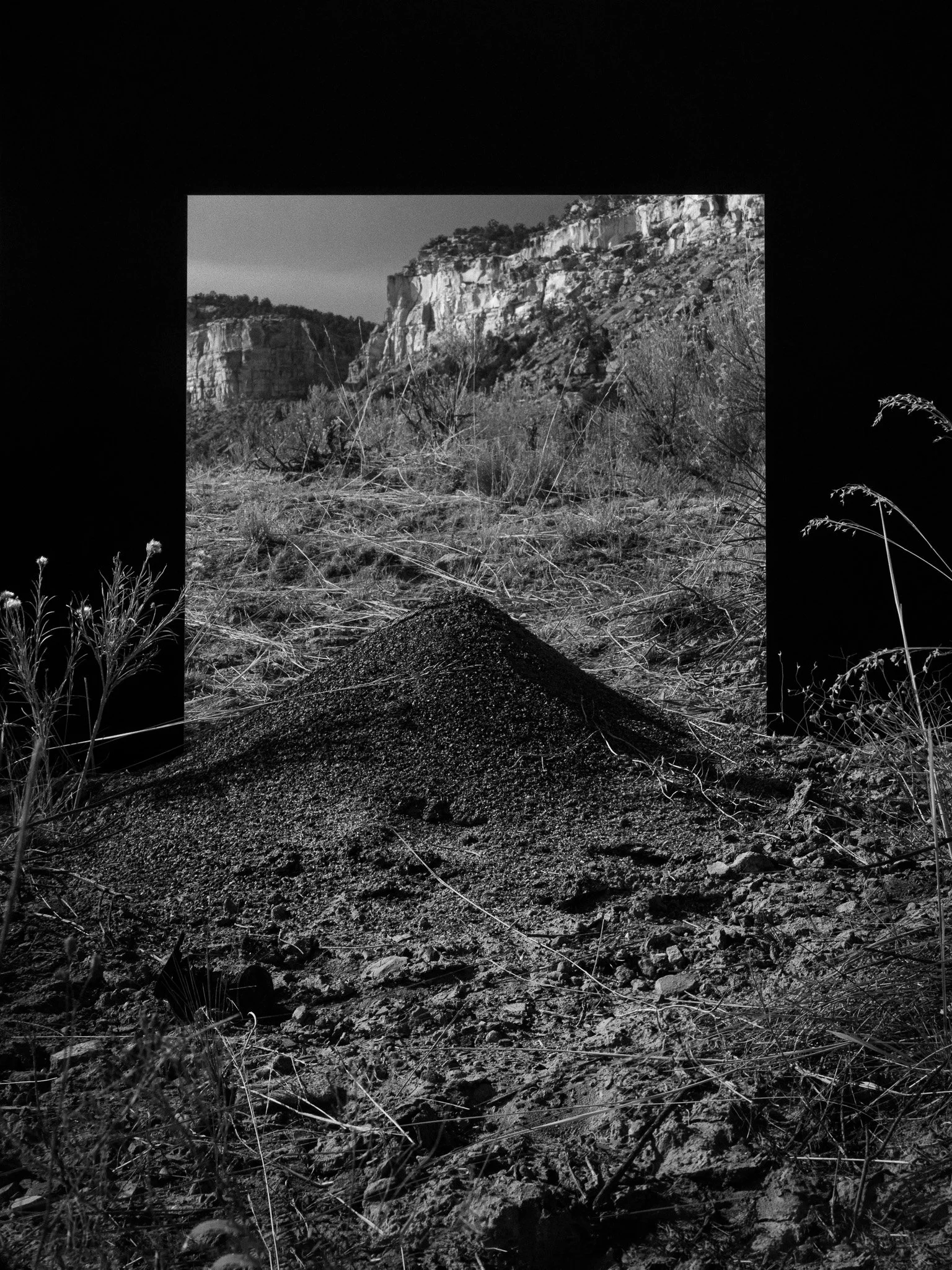 Participatory Universe — Alexandra Fuller