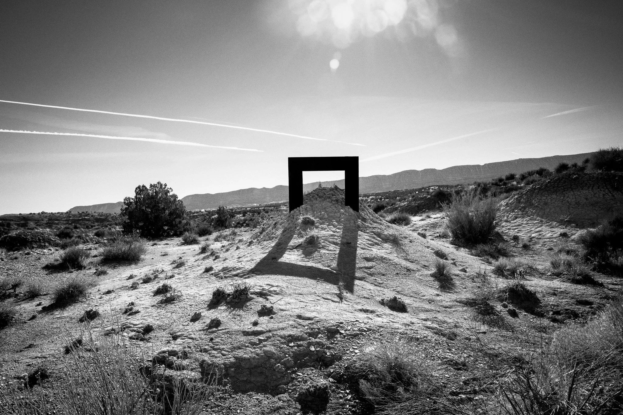 Participatory Universe — Alexandra Fuller