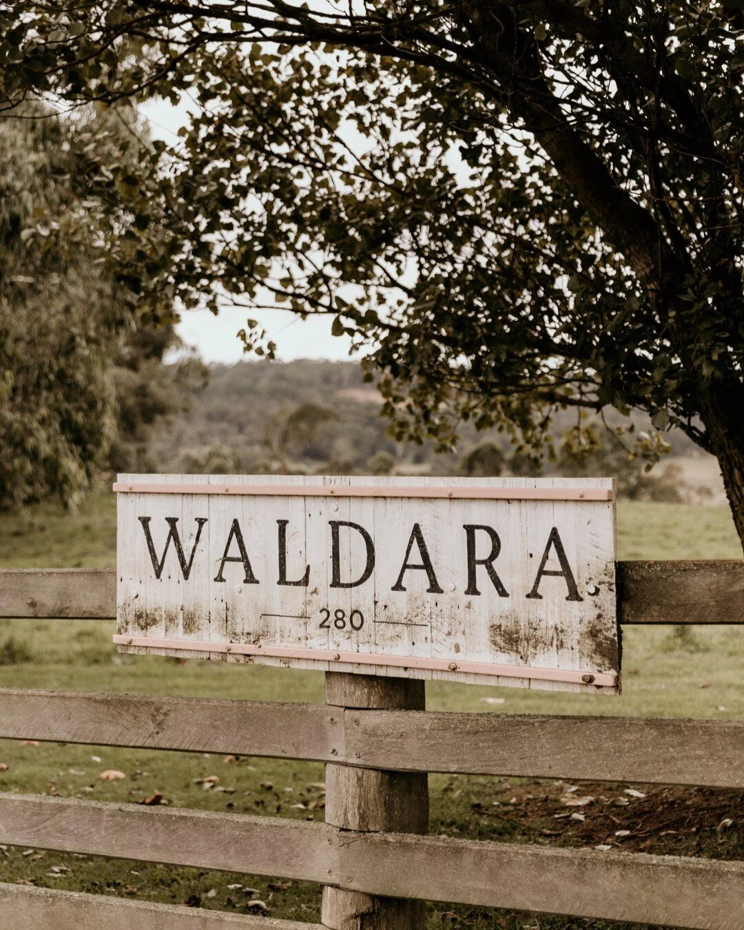 WEDDINGS — Waldara Farm