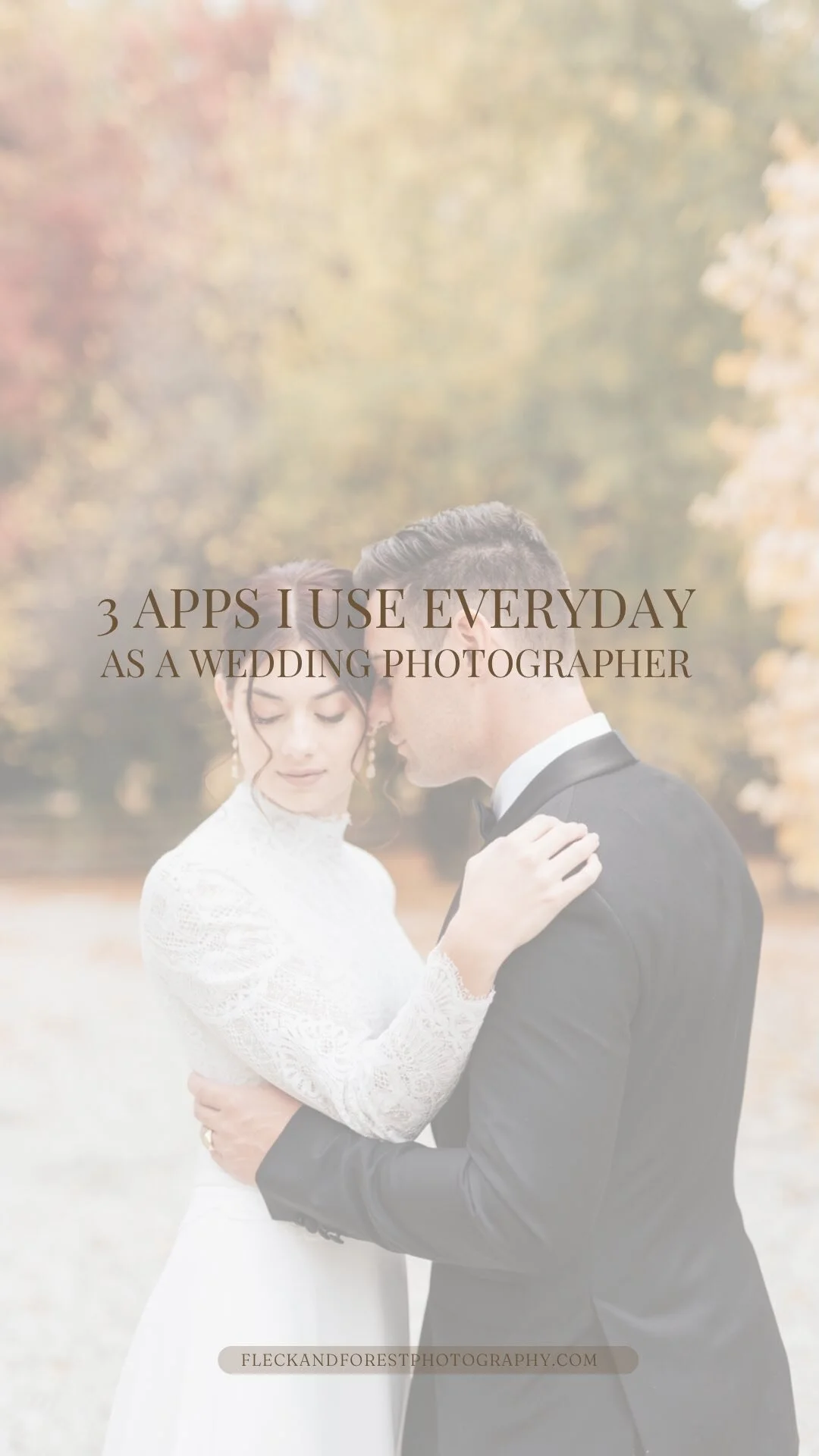 Family packages — Fleck and Forest Photography