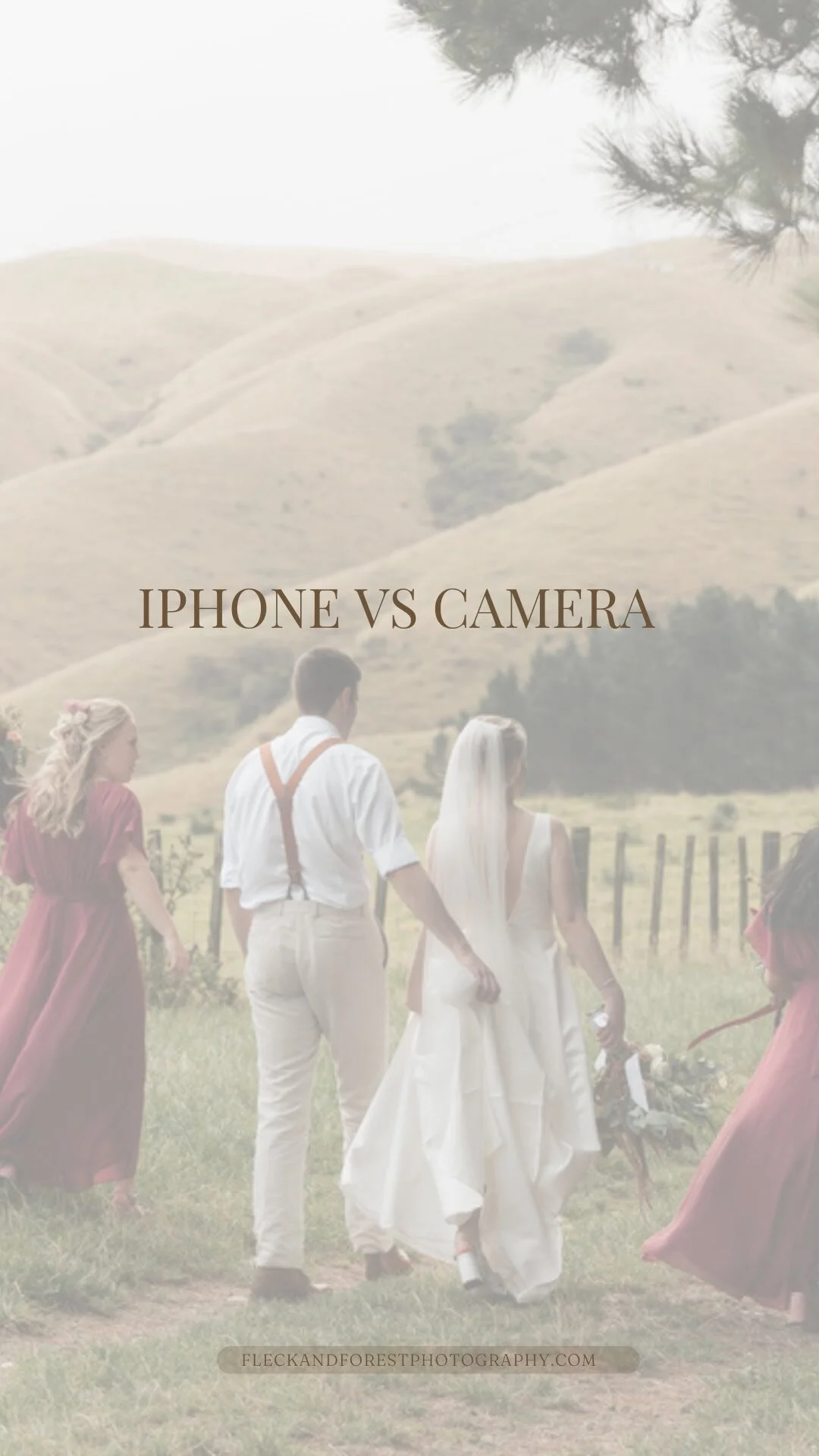 Family packages — Fleck and Forest Photography